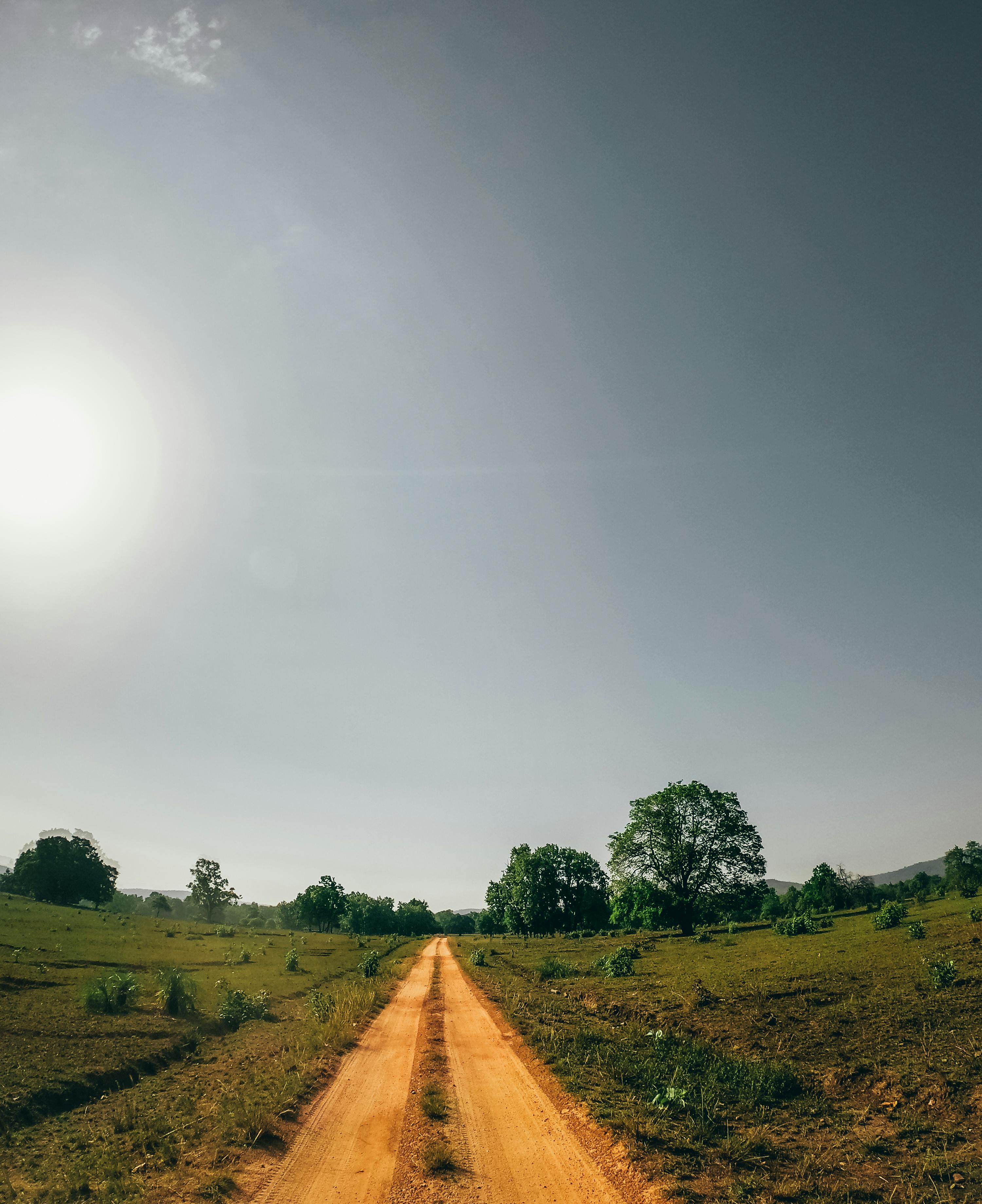 500+ Engaging Path Way Photos Pexels · Free Stock Photos