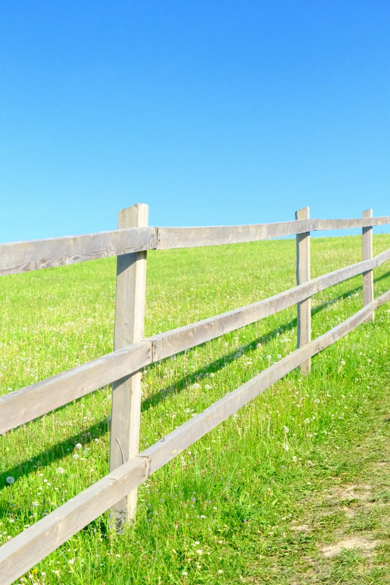 Wooden Fence Photos, Download The BEST Free Wooden Fence Stock Photos ...