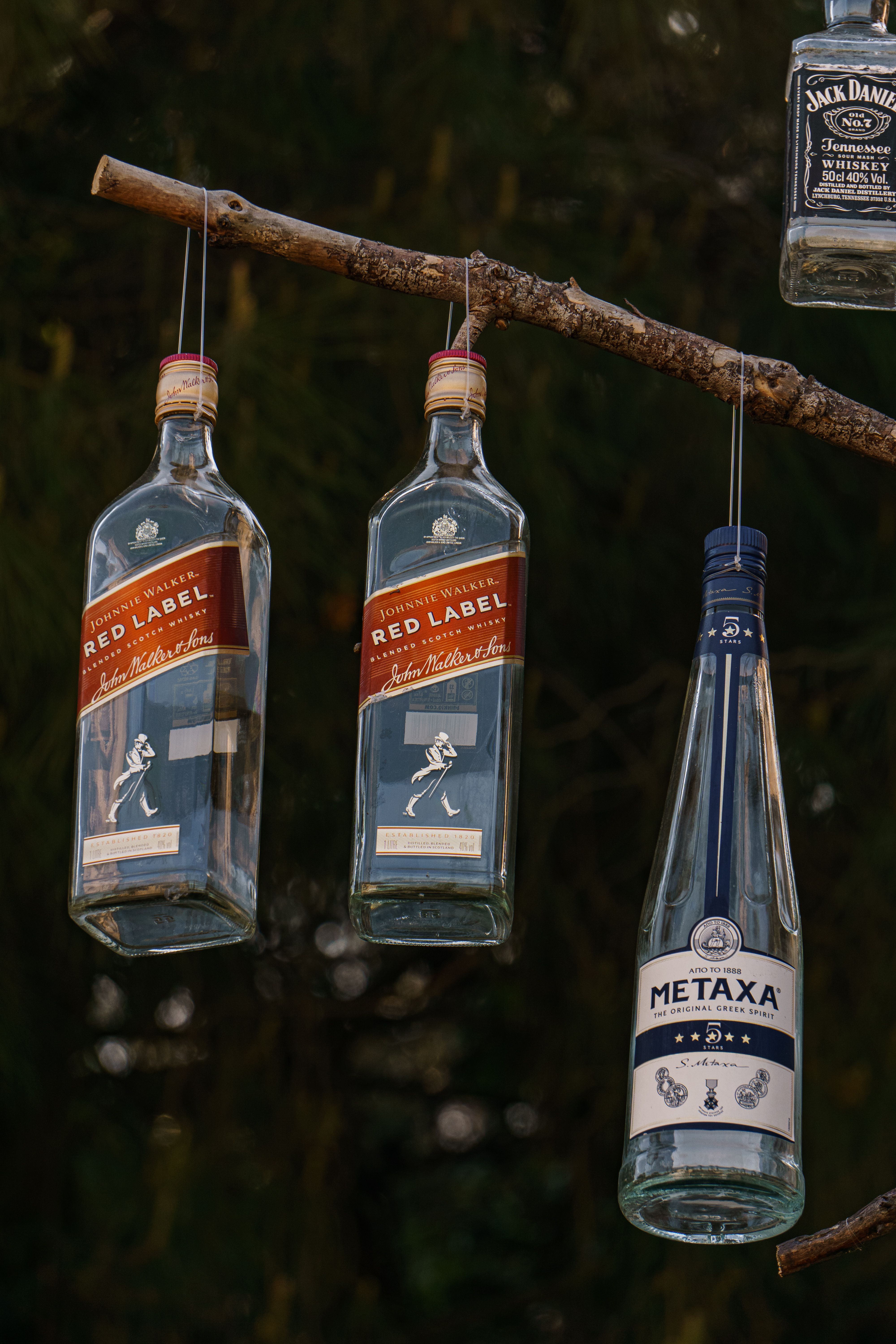 Bottles of Alcohol Hanging on Branch · Free Stock Photo