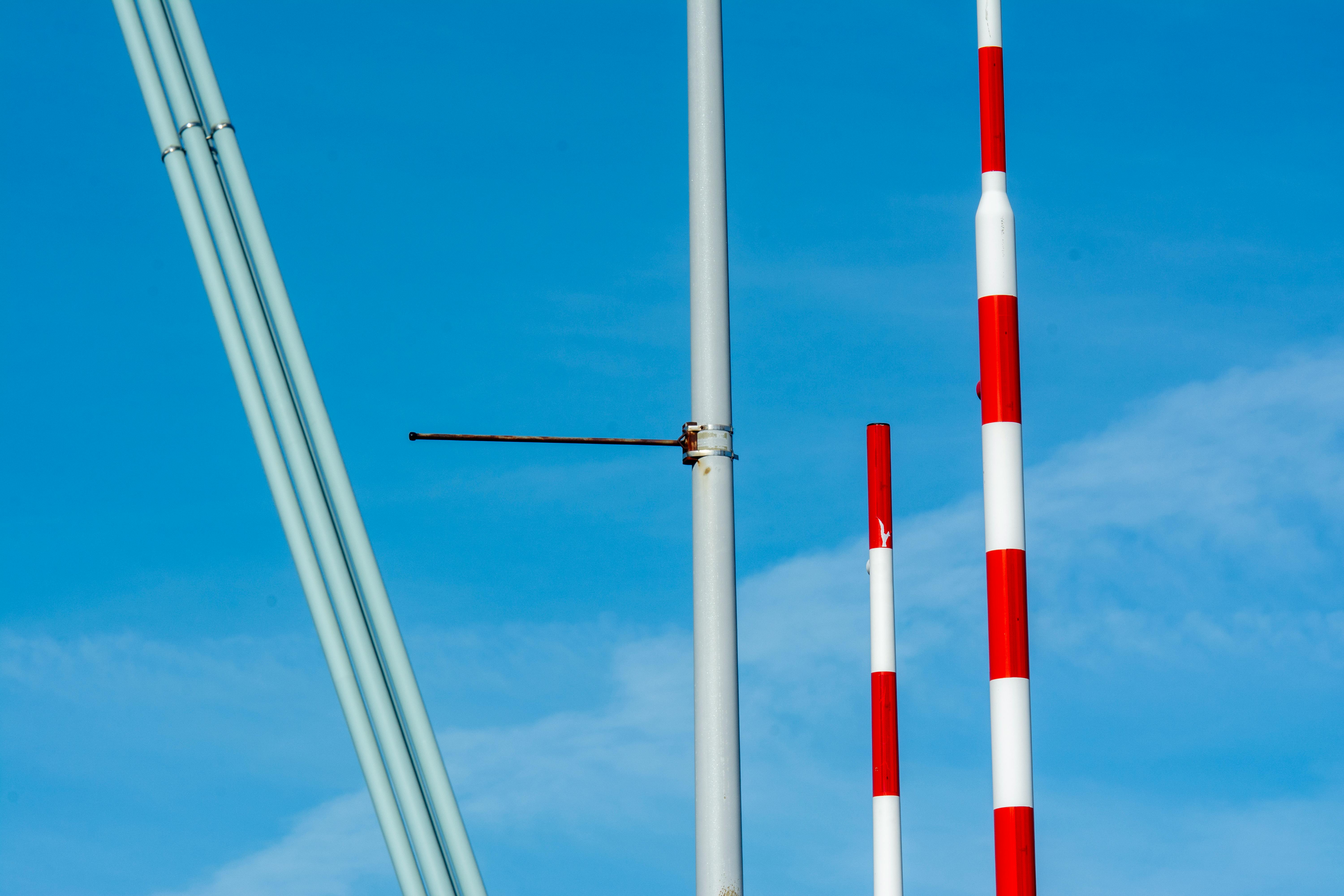 Pole Lynott Photos, Download The BEST Free Pole Lynott Stock Photos ...