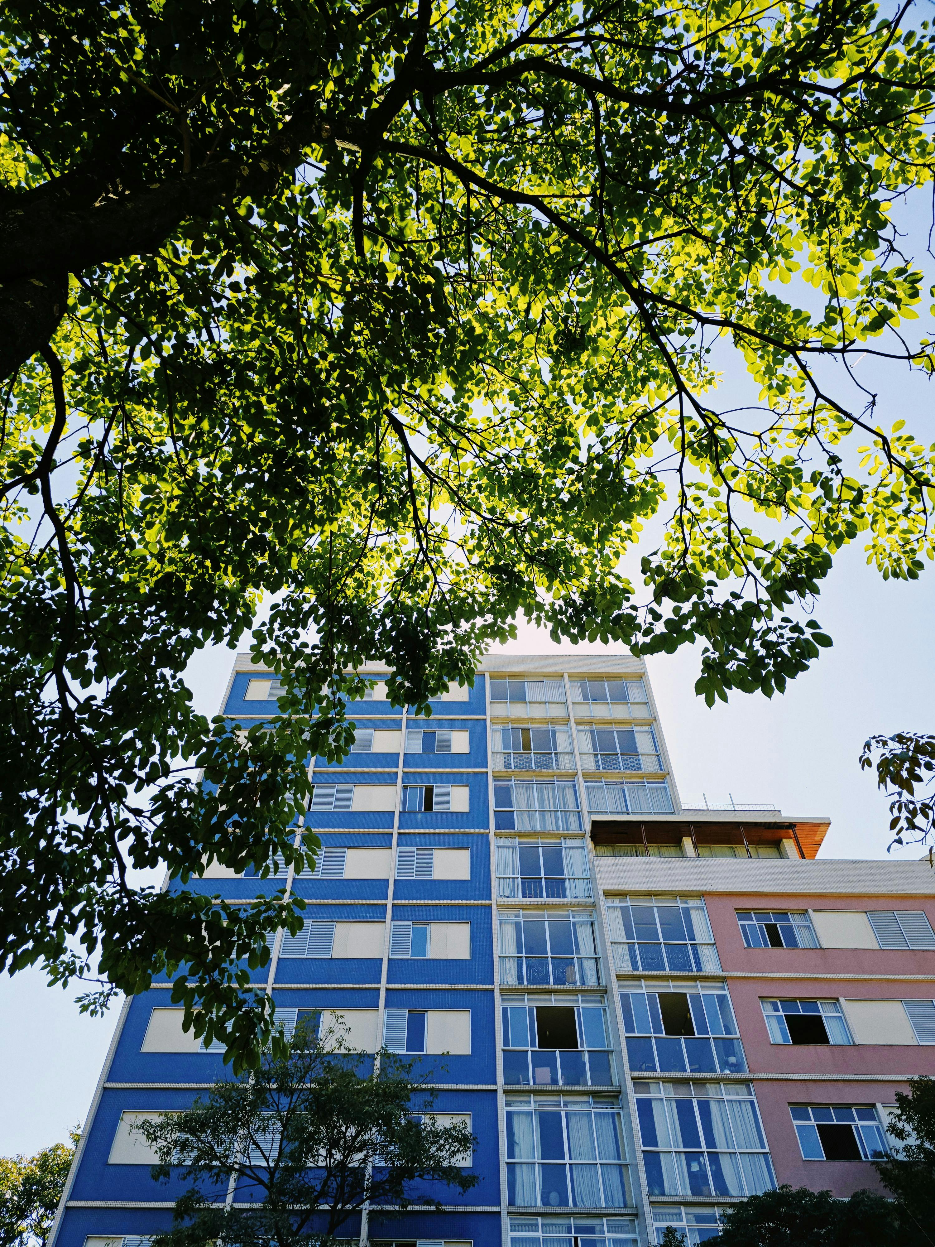 Tree Obscuring Blue Residential Building · Free Stock Photo