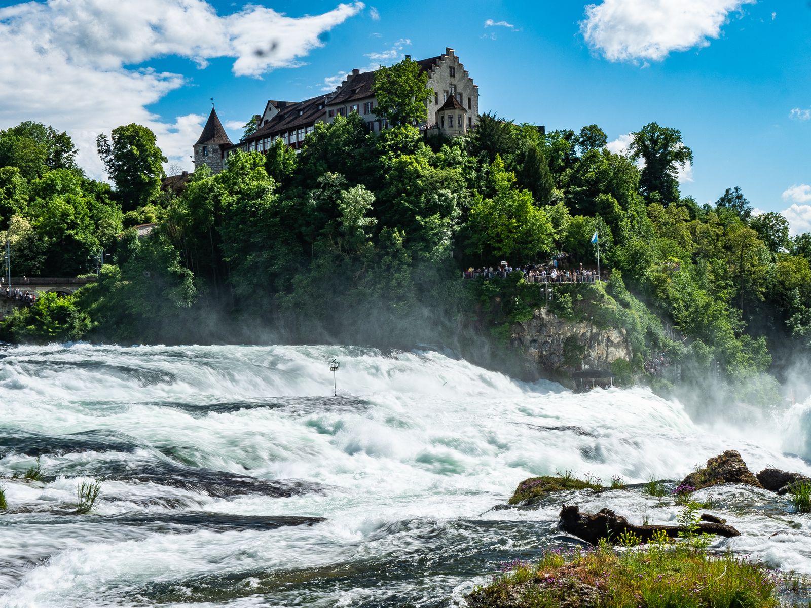 Rhine River Falls Photos, Download The BEST Free Rhine River Falls ...