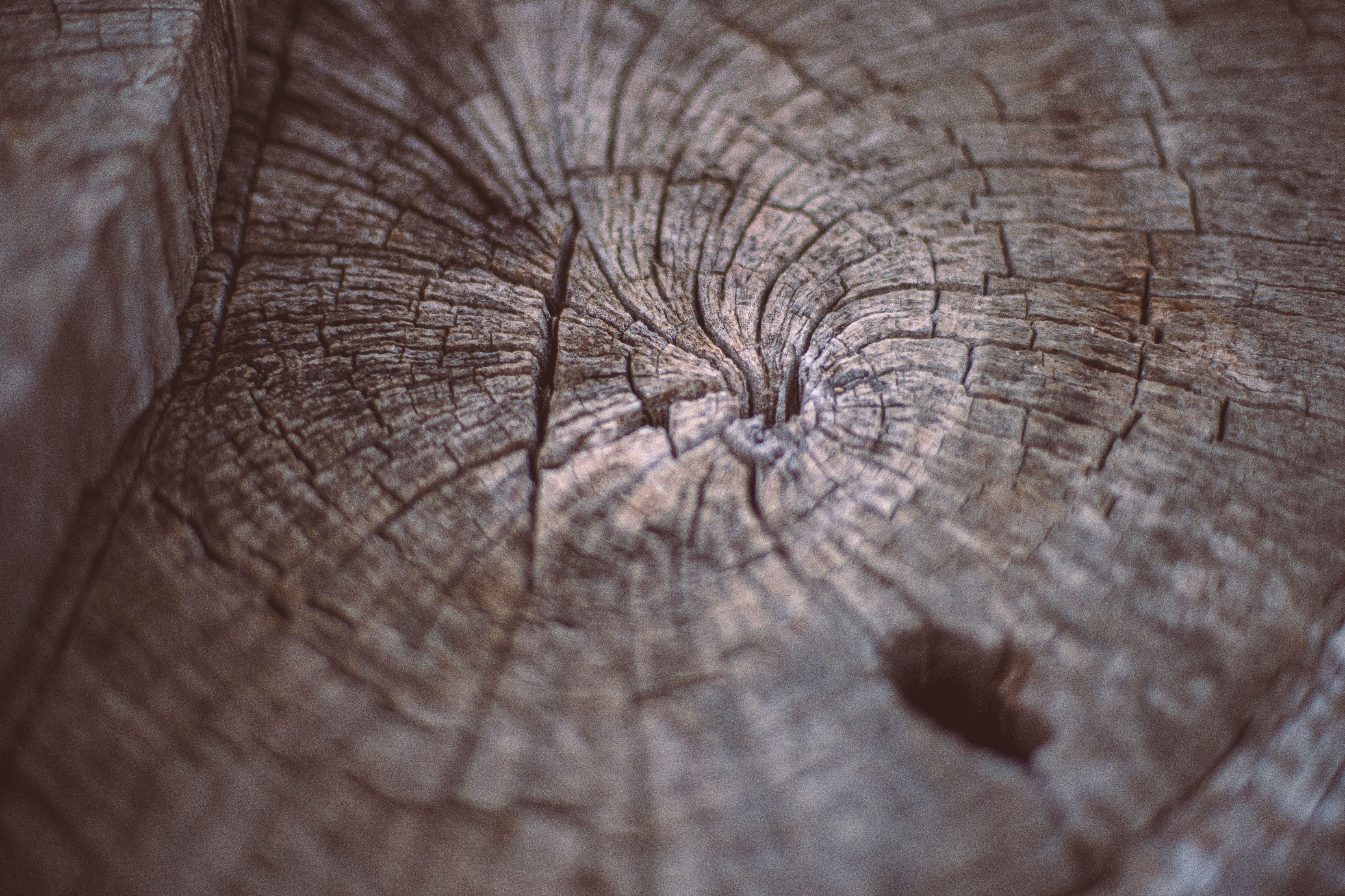 50 000+ Earth Surface Texture banque d’images et photos libres de droit ...