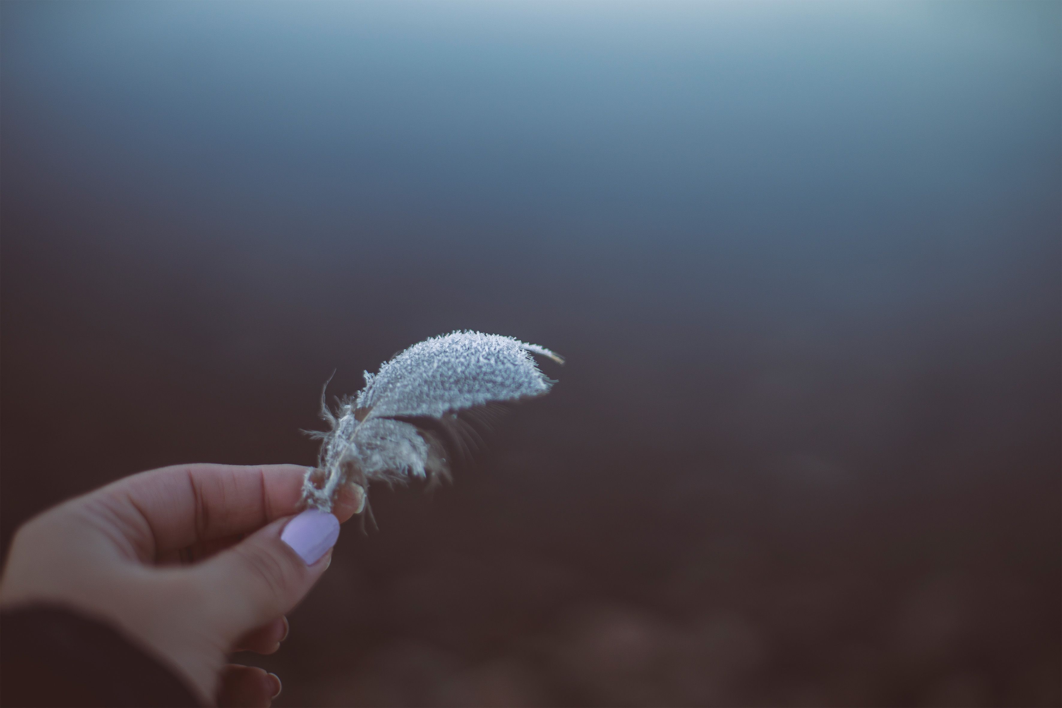 Close-up of a Woman Holding a Feather Covered in Frost · Free Stock Photo