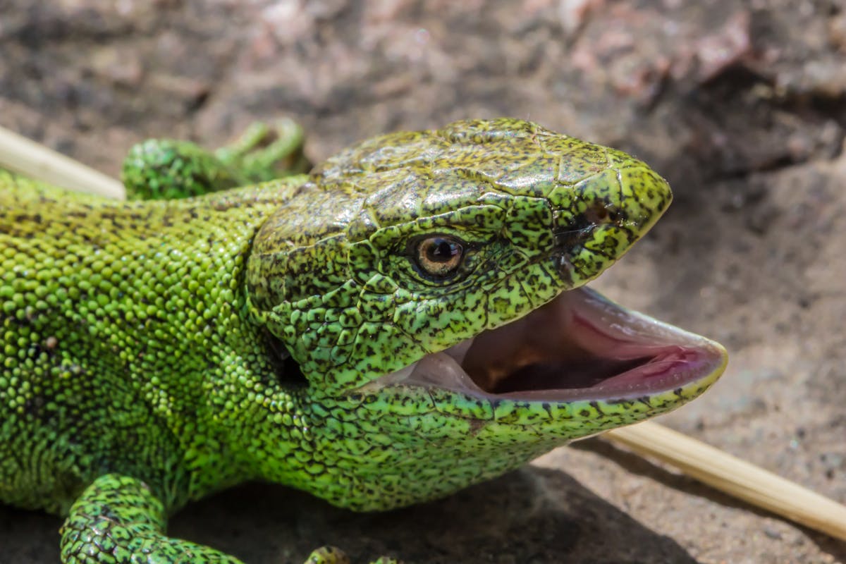 Open Source Photos, Download The BEST Free Open Source Stock Photos ...