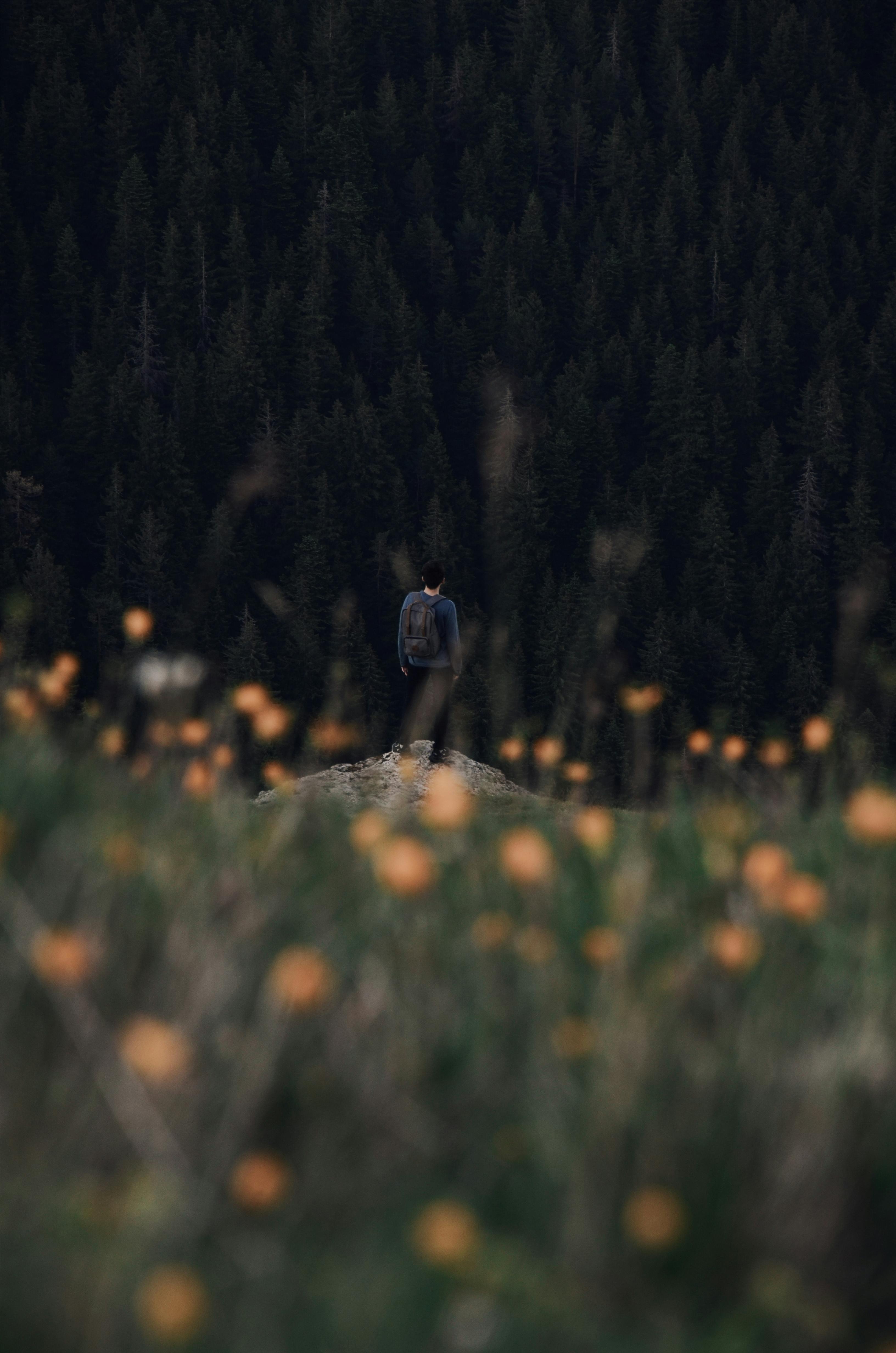 Man Walking Photos, Download The BEST Free Man Walking Stock Photos ...