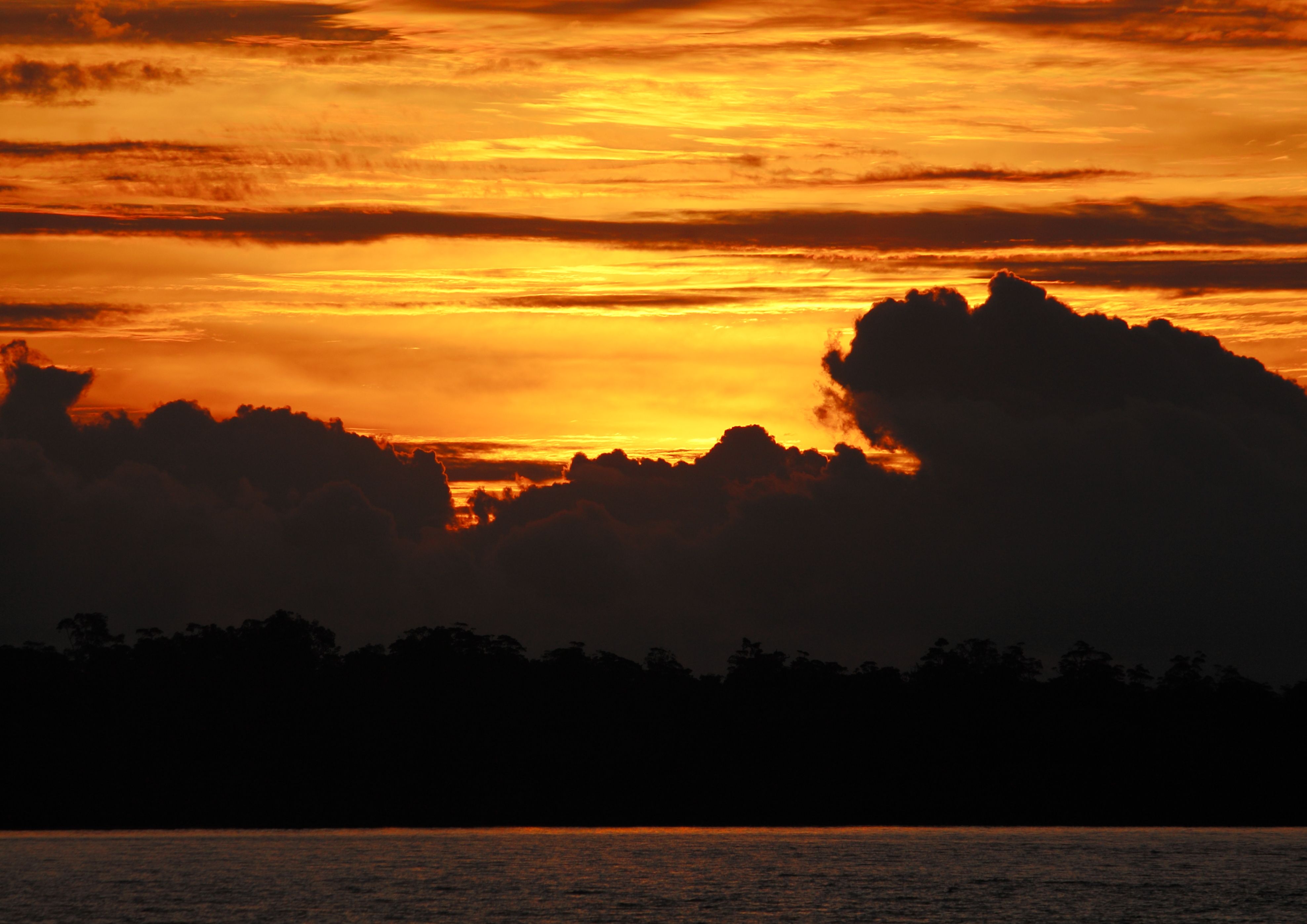 Pininterest Wallpaper Photos, Download The BEST Free Pininterest ...
