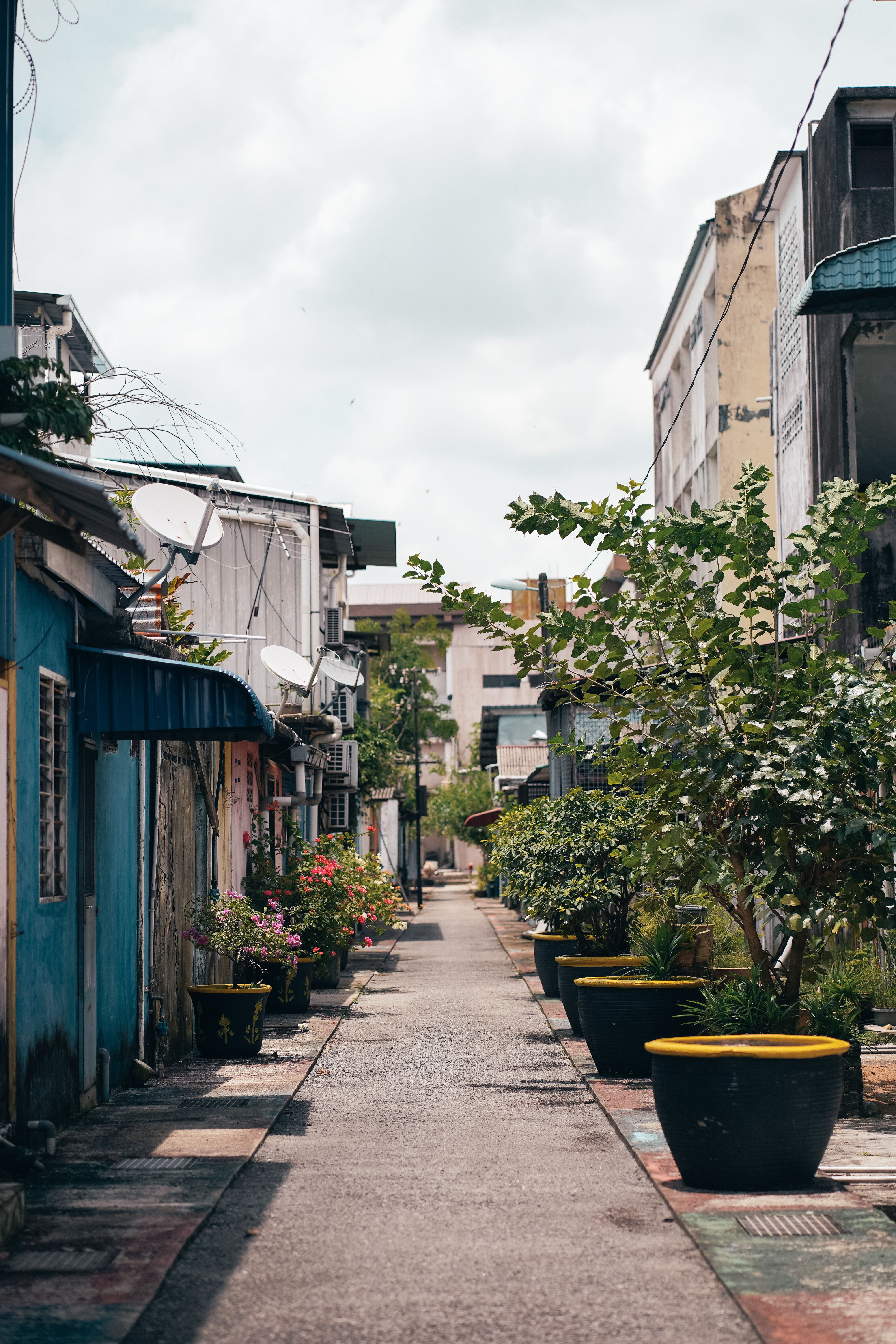 A Narrow Alley between Houses and Plants in a City · Free Stock Photo