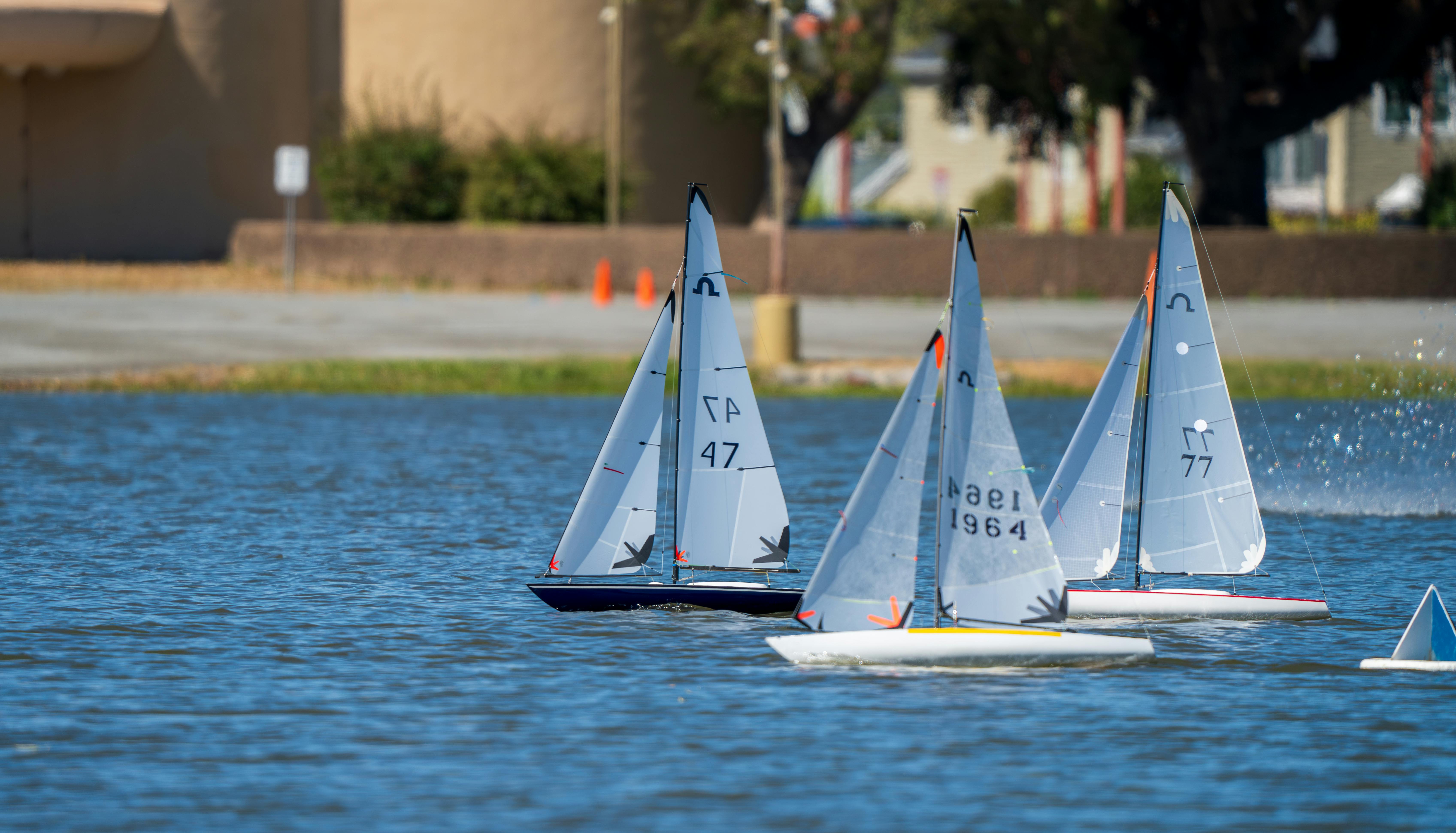 Model Yachts Racing · Free Stock Photo