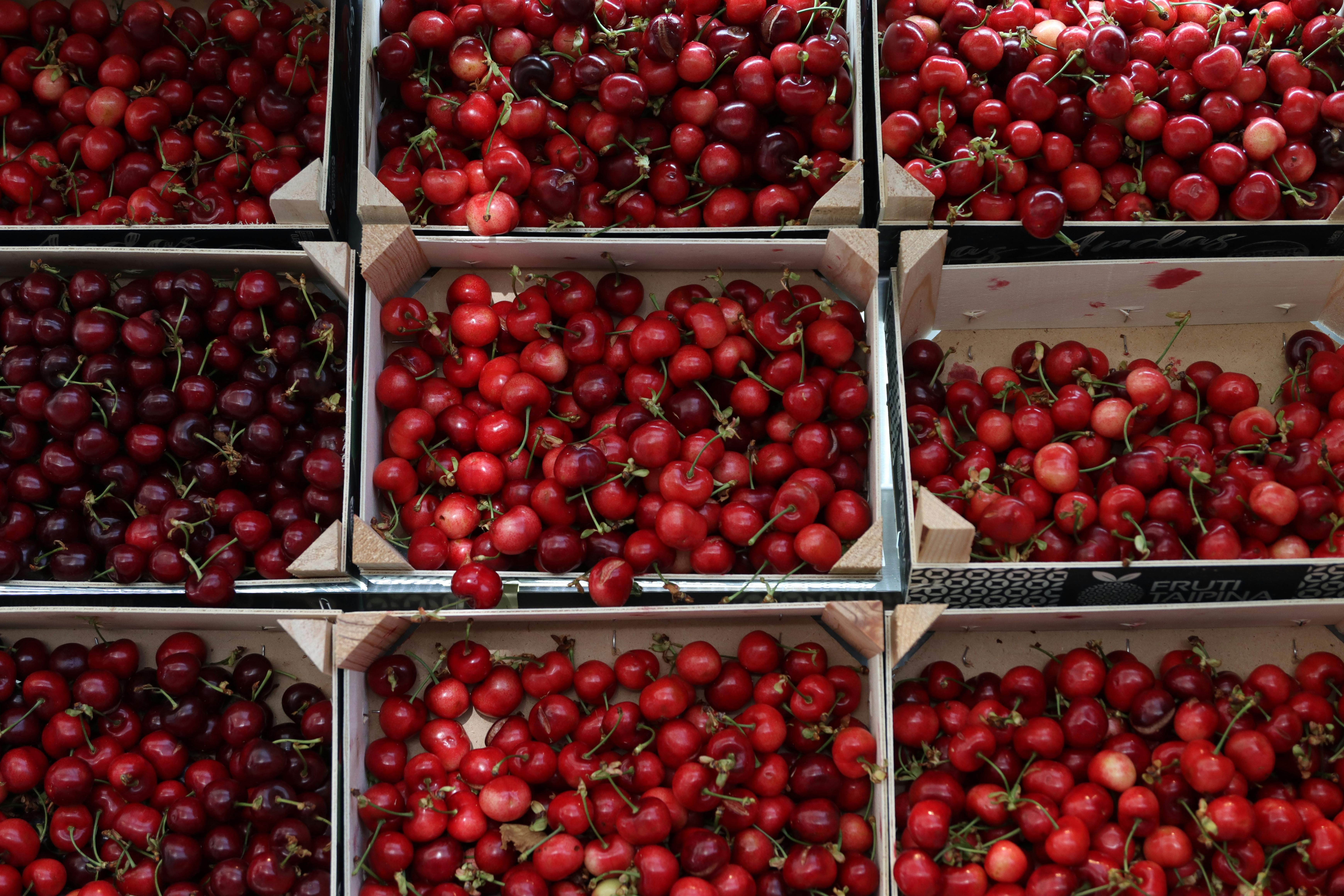 Red Cherries in Boxes at Market · Free Stock Photo