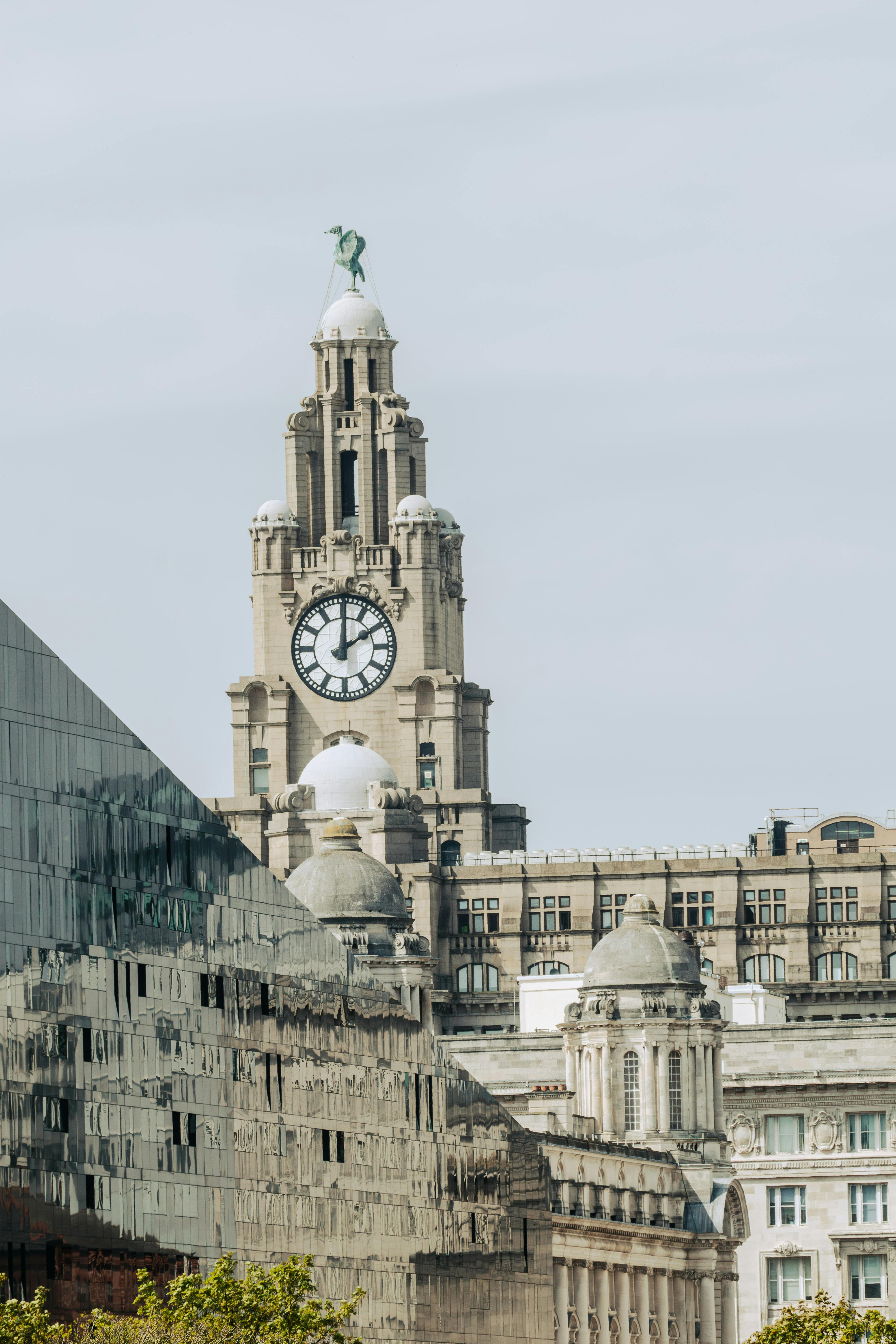 Clock Tower of the Royal Liver Building · Free Stock Photo