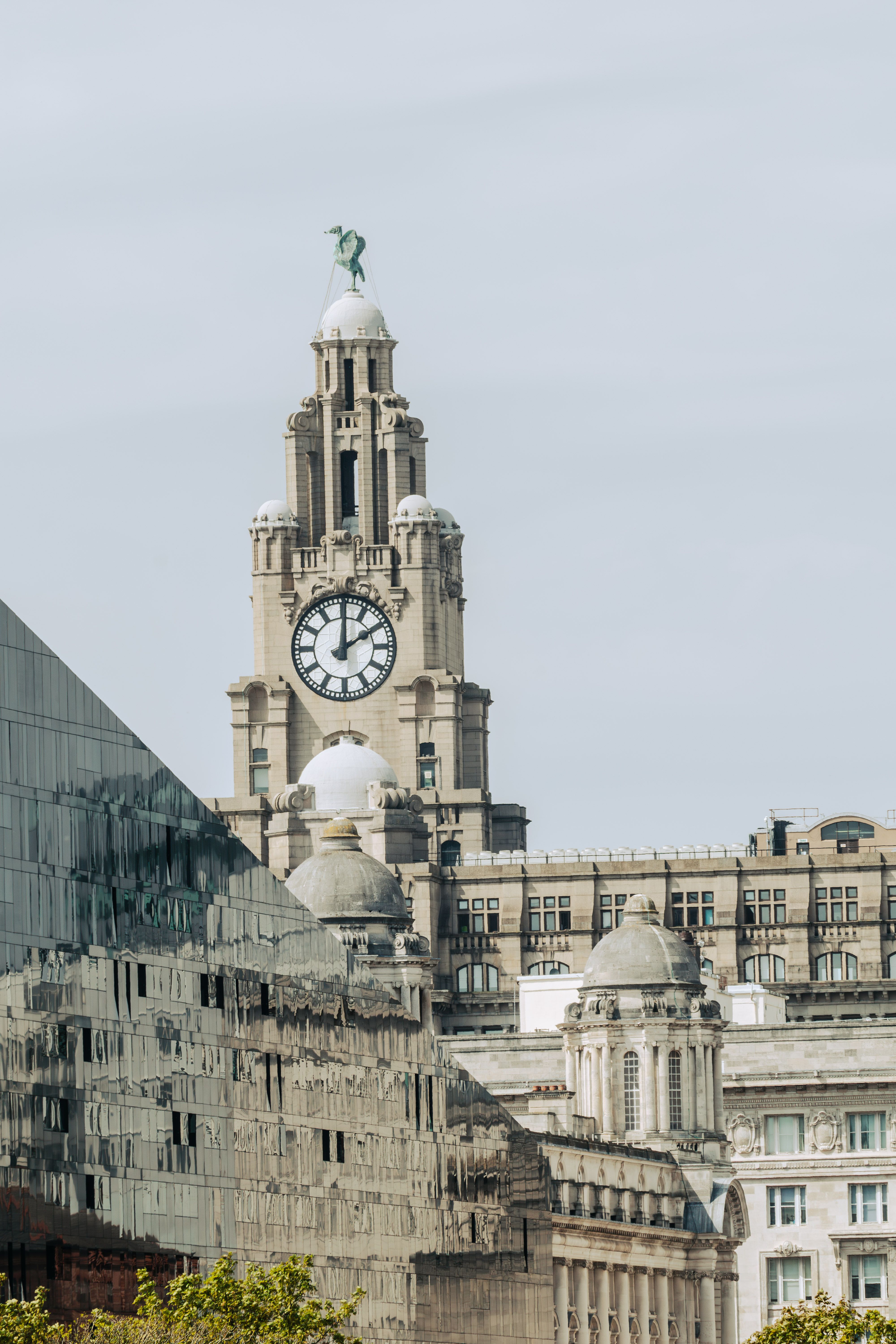 Liverpool Fc Symbol Photos, Download The BEST Free Liverpool Fc Symbol ...