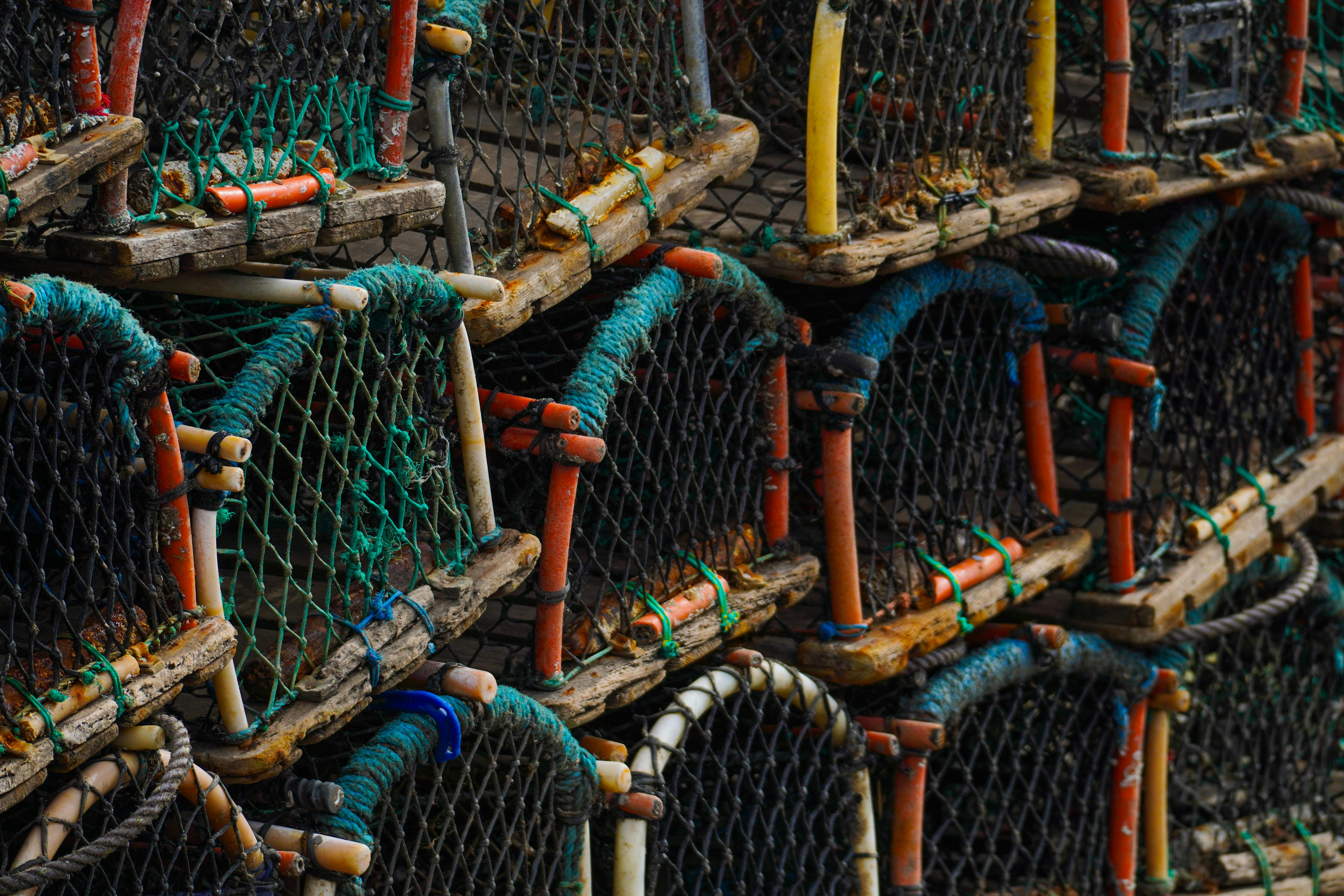 Colorful Cages in Shadow · Free Stock Photo