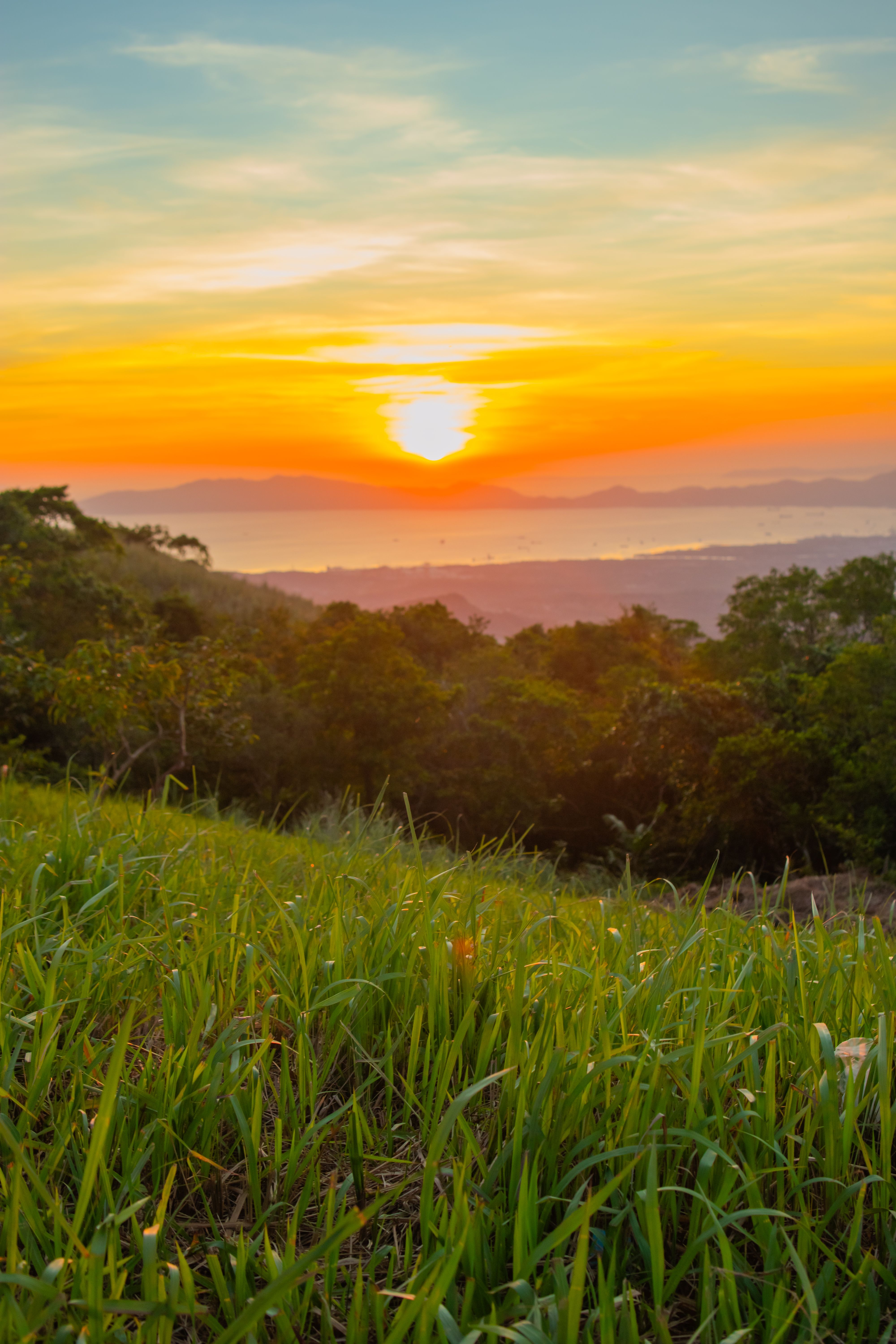 Green Grass Field during Sun Rise · Free Stock Photo