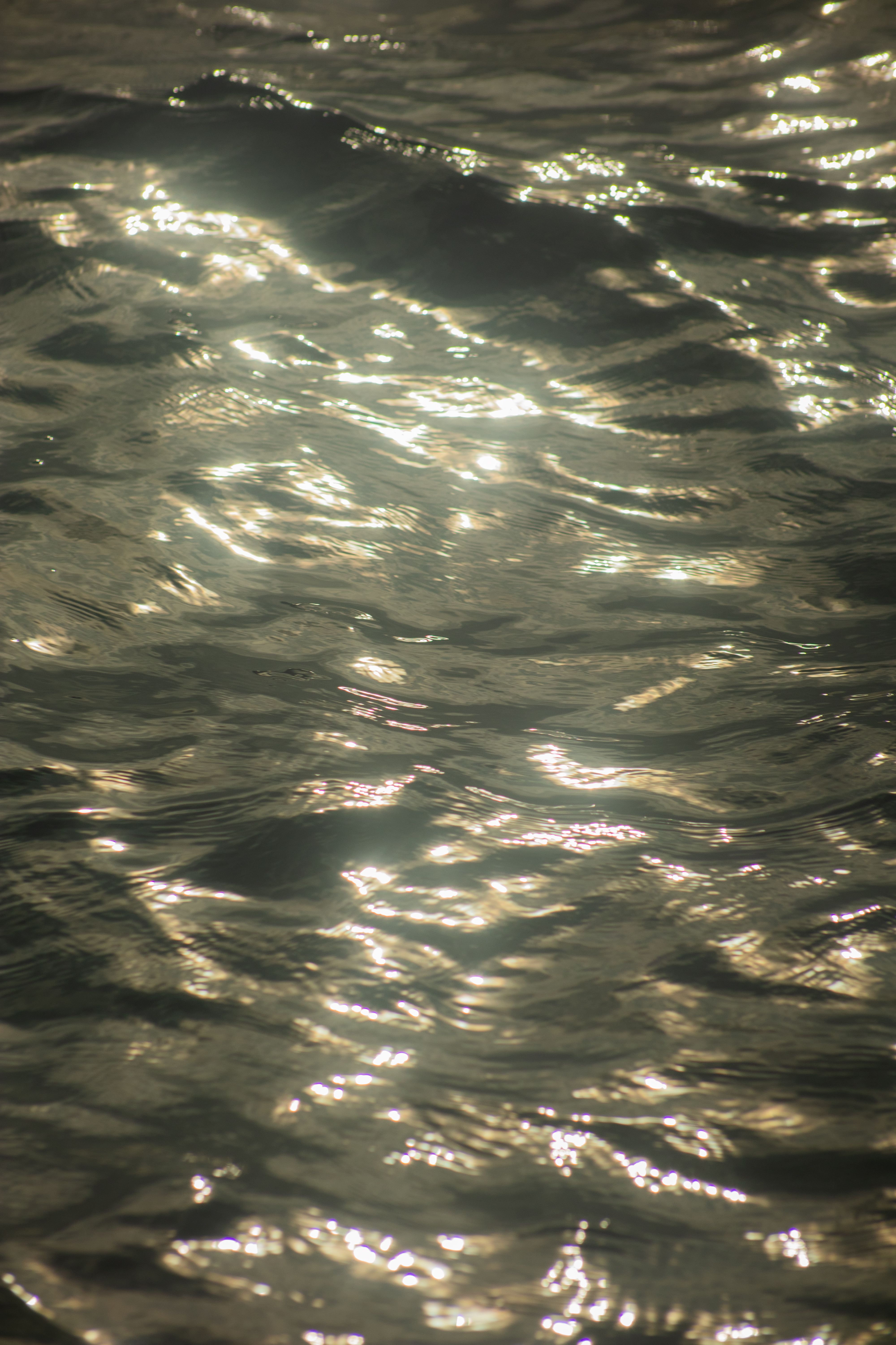 Sun Shining On Water Photos, Download The BEST Free Sun Shining On ...