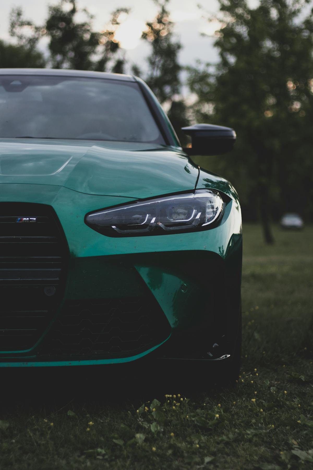 Color: Green Photos, Download The BEST Free Color: Green Stock Photos ...