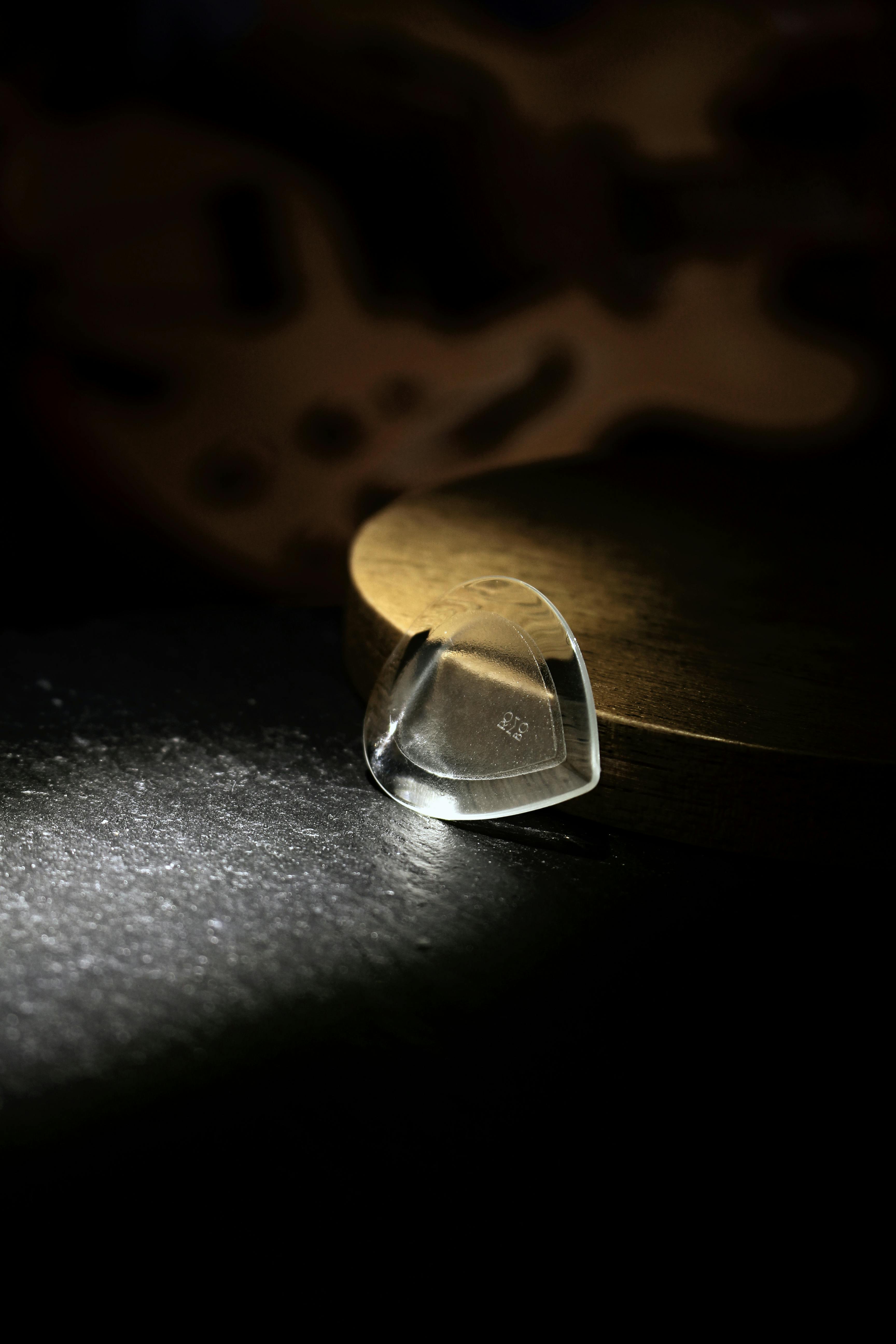 Plectrum in Sunlight · Free Stock Photo