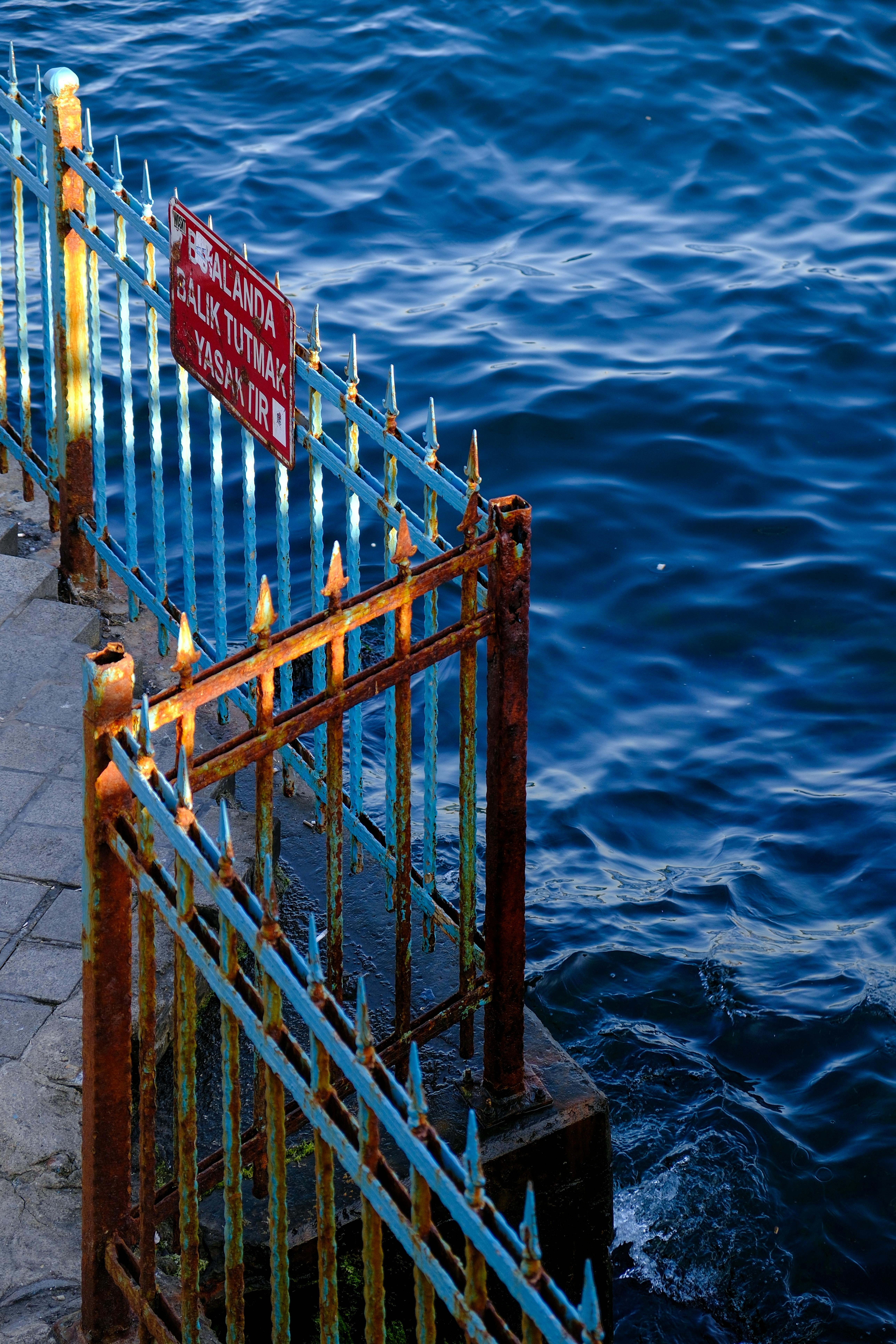 Rusty Railing along Sea · Free Stock Photo