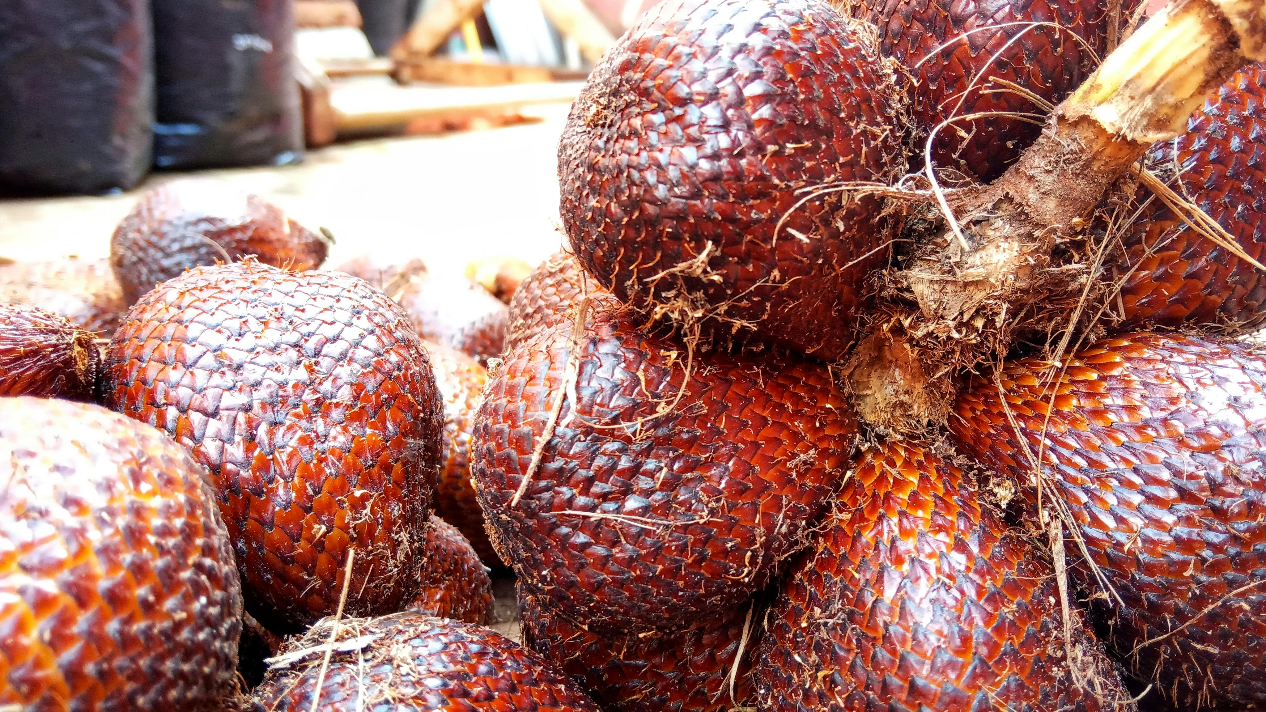 How can you build a profitable Micro SaaS product? | Snapify Blog | Snapify