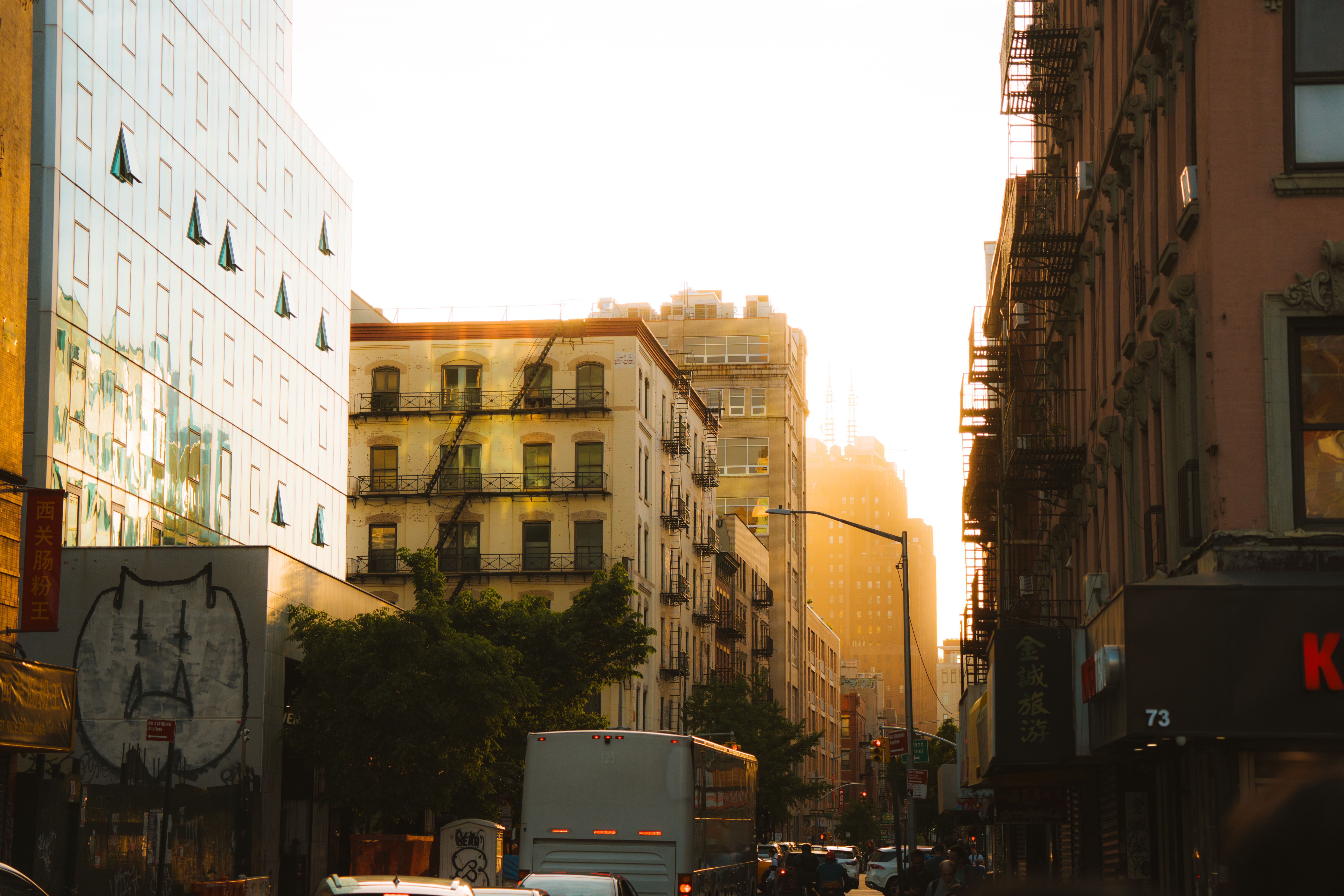 Residential Buildings around Street in City in the USA · Free Stock Photo