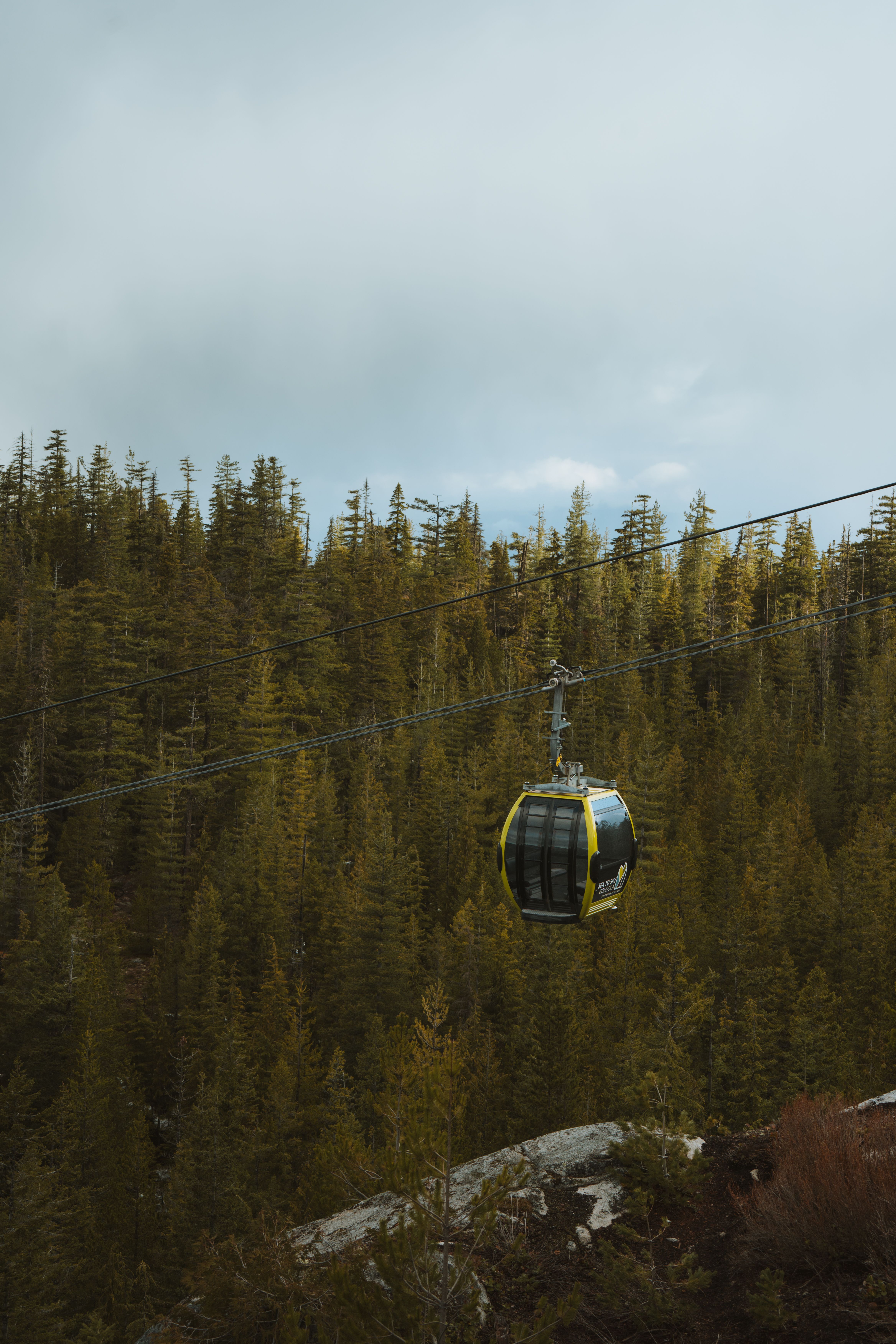 Cable Car over Evergreen Forest · Free Stock Photo