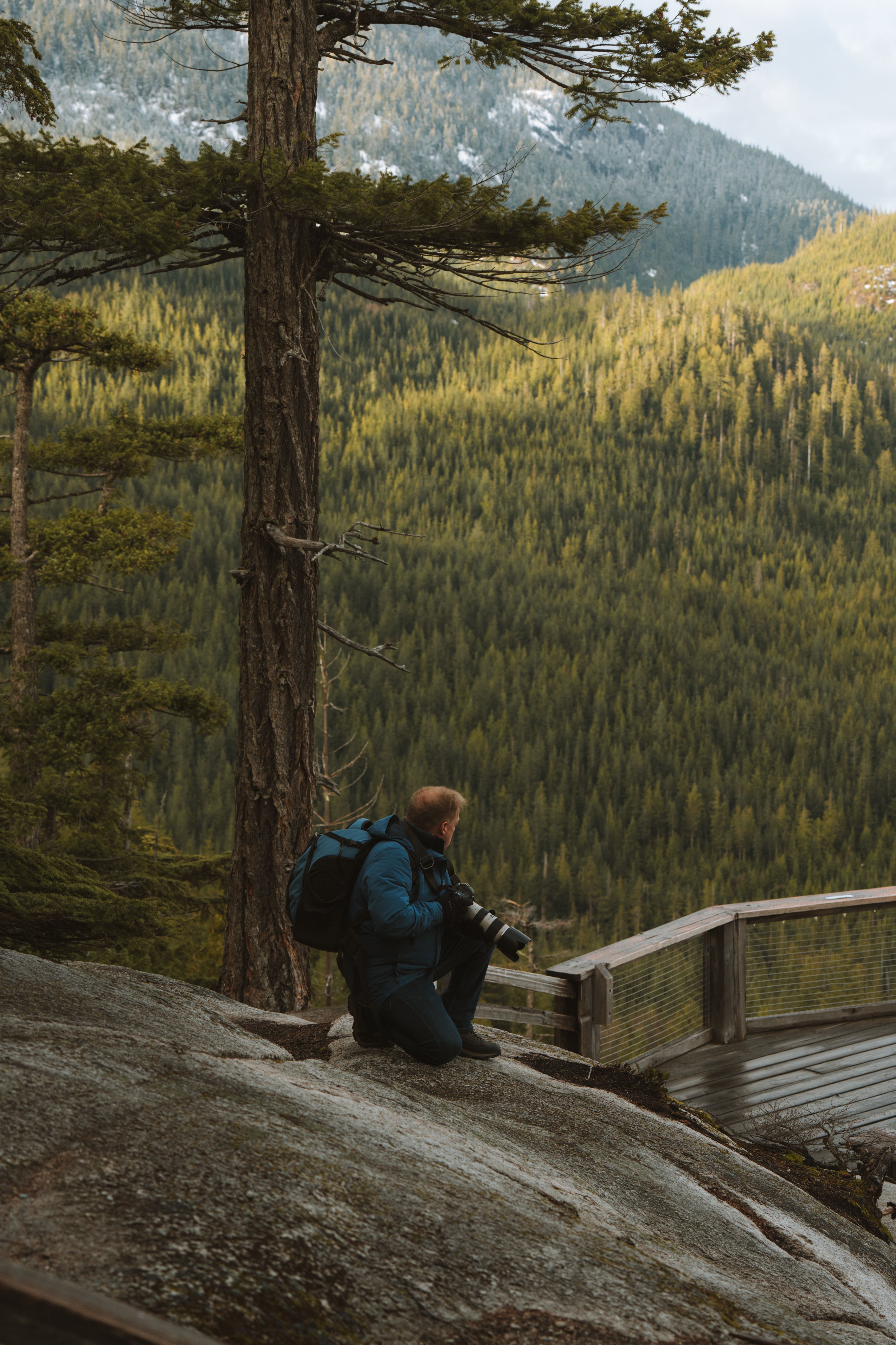 Photographer on Rock over Coniferous Forest in Mountains · Free Stock Photo
