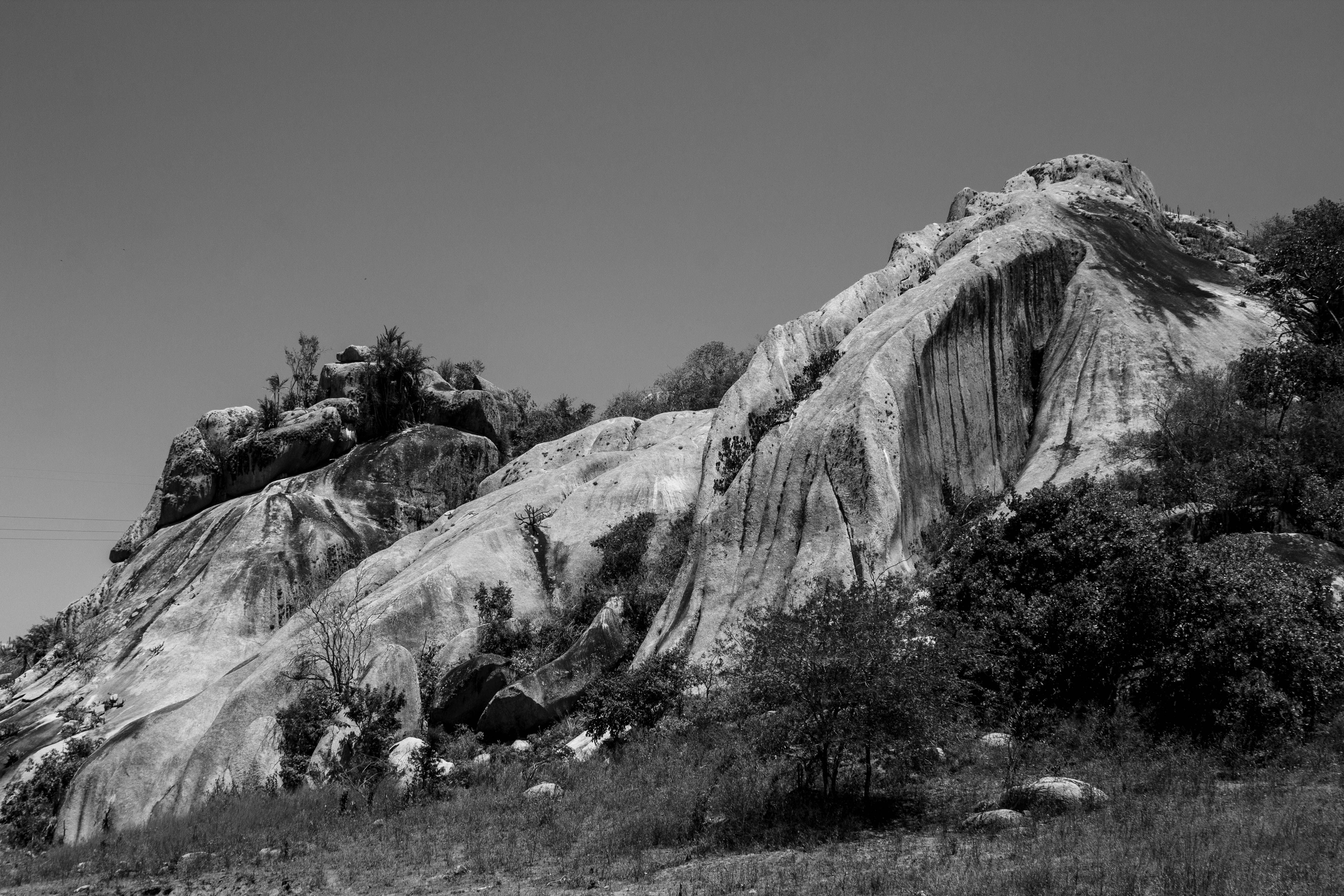 Trees and Rocks in Countryside · Free Stock Photo