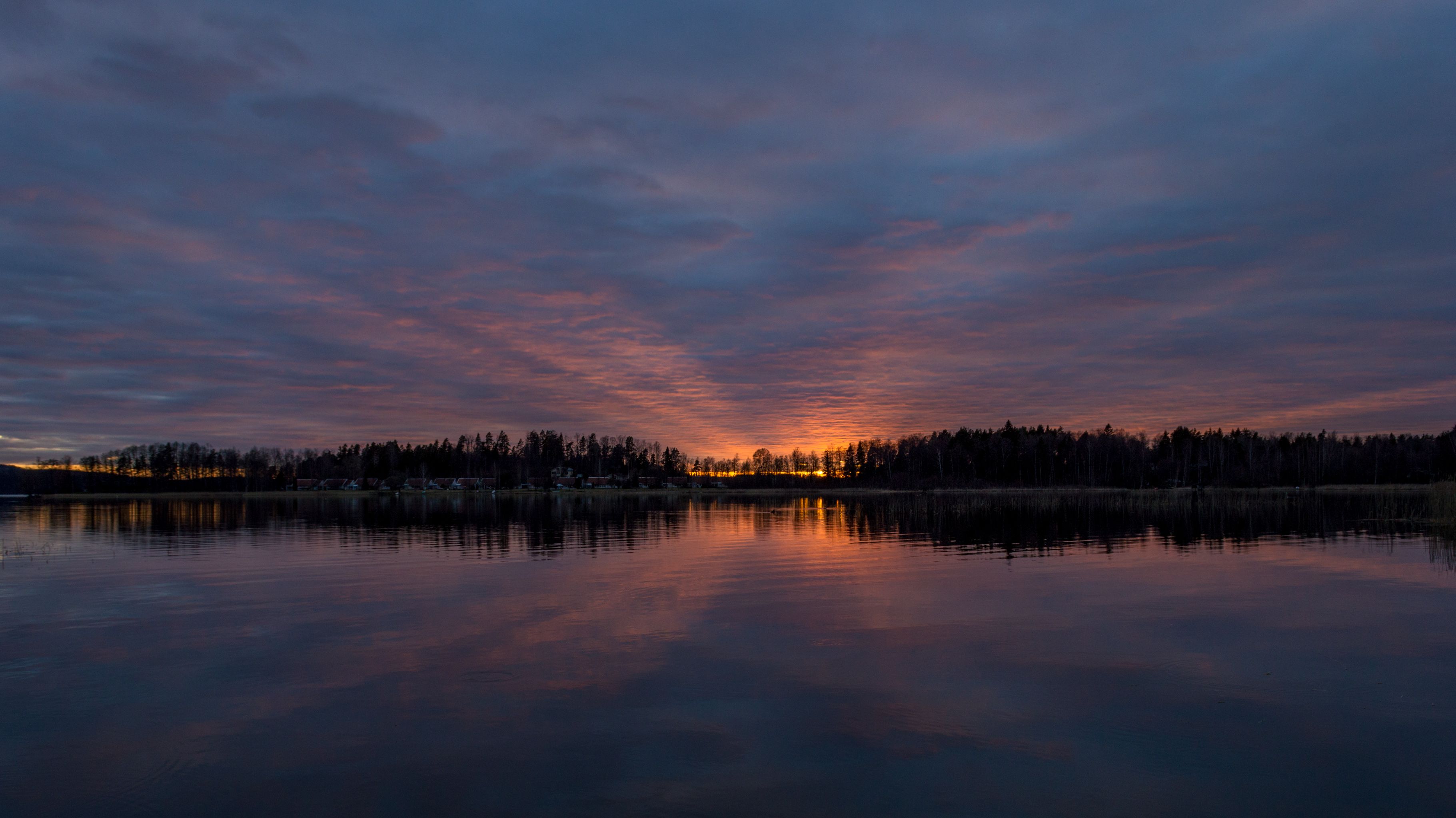 Forested Lakeshore at Sunset · Free Stock Photo