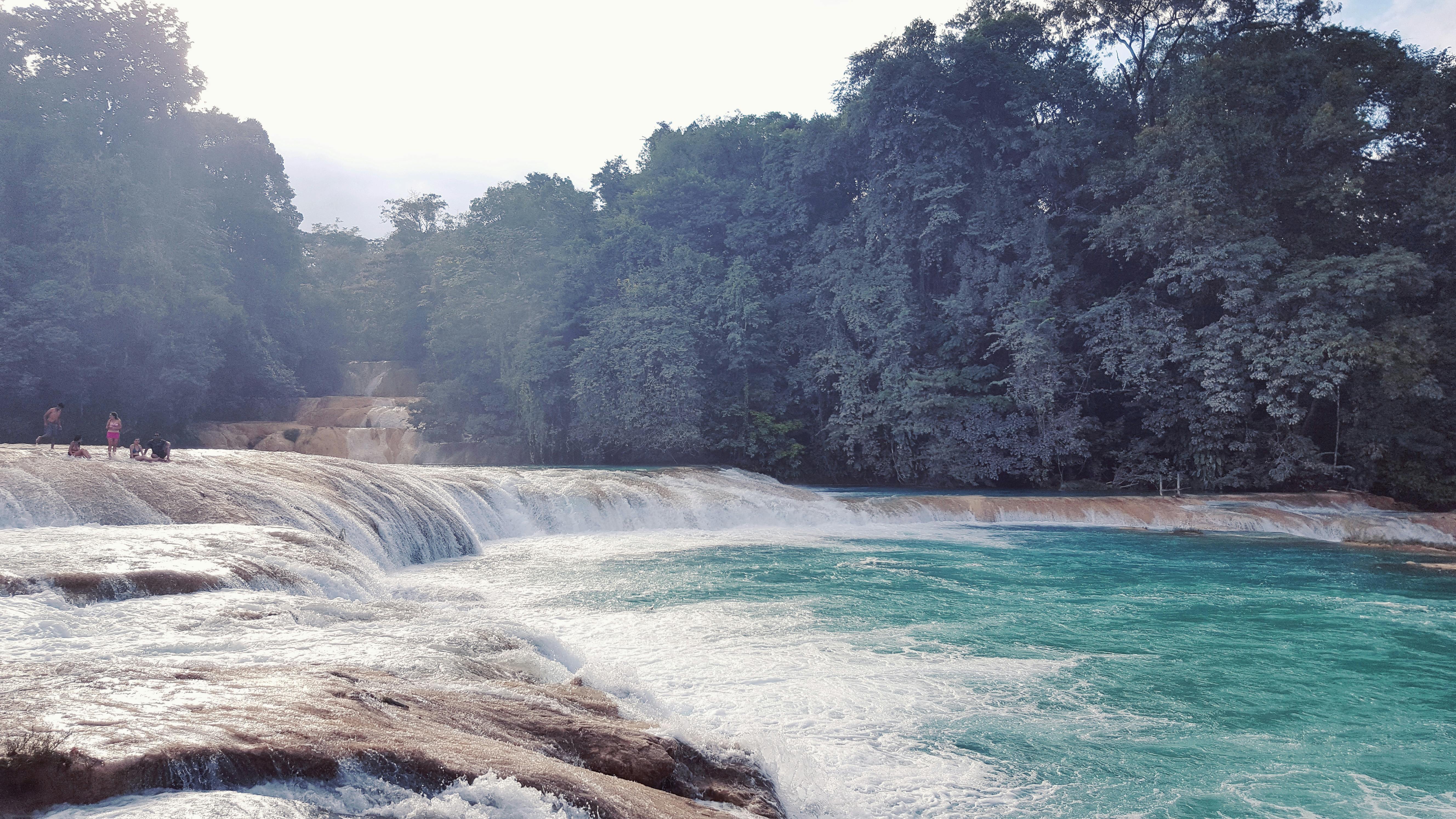 A beautiful waterfall in Chipas, Mexico · Free Stock Photo