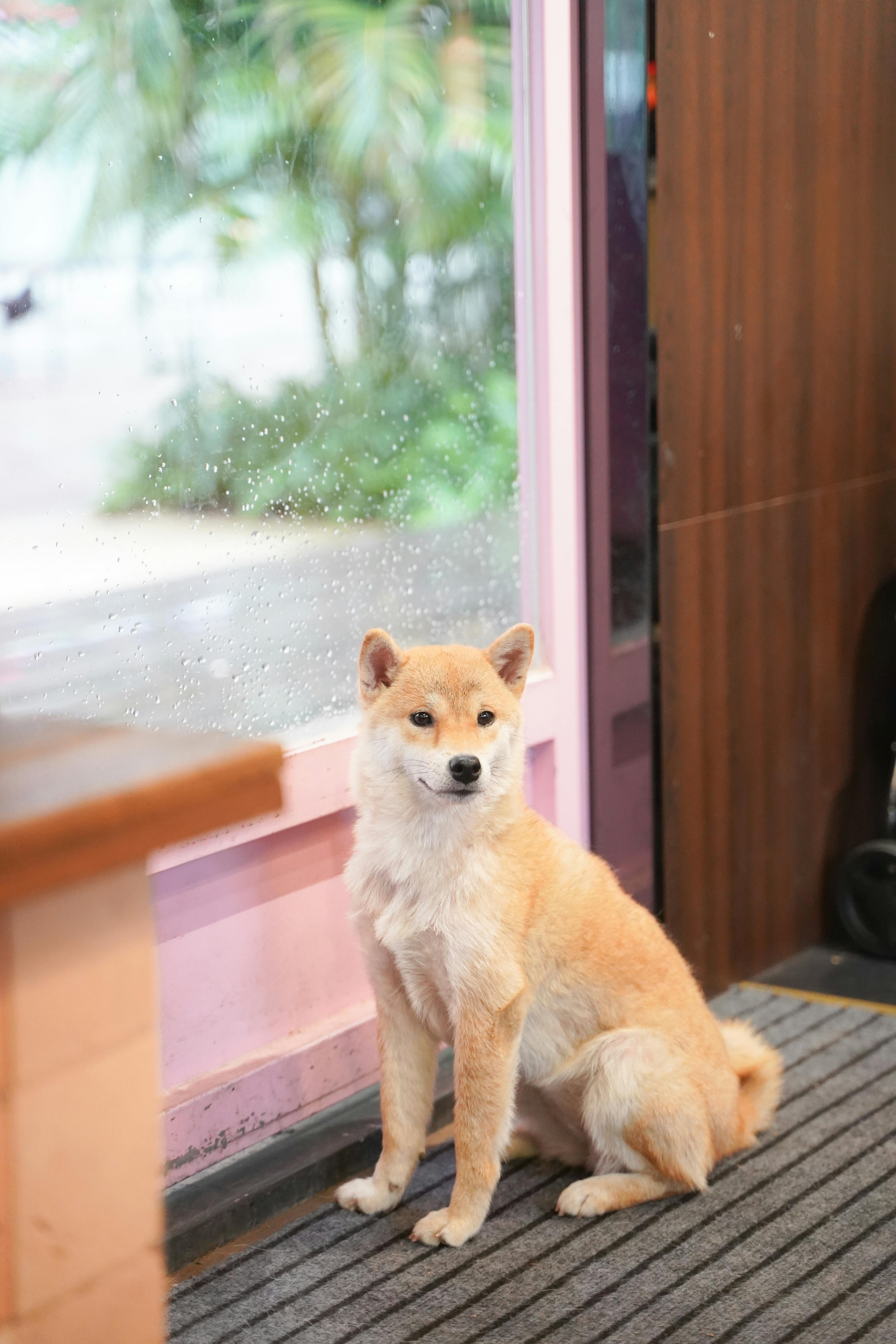 Nicholas Fu - Photography