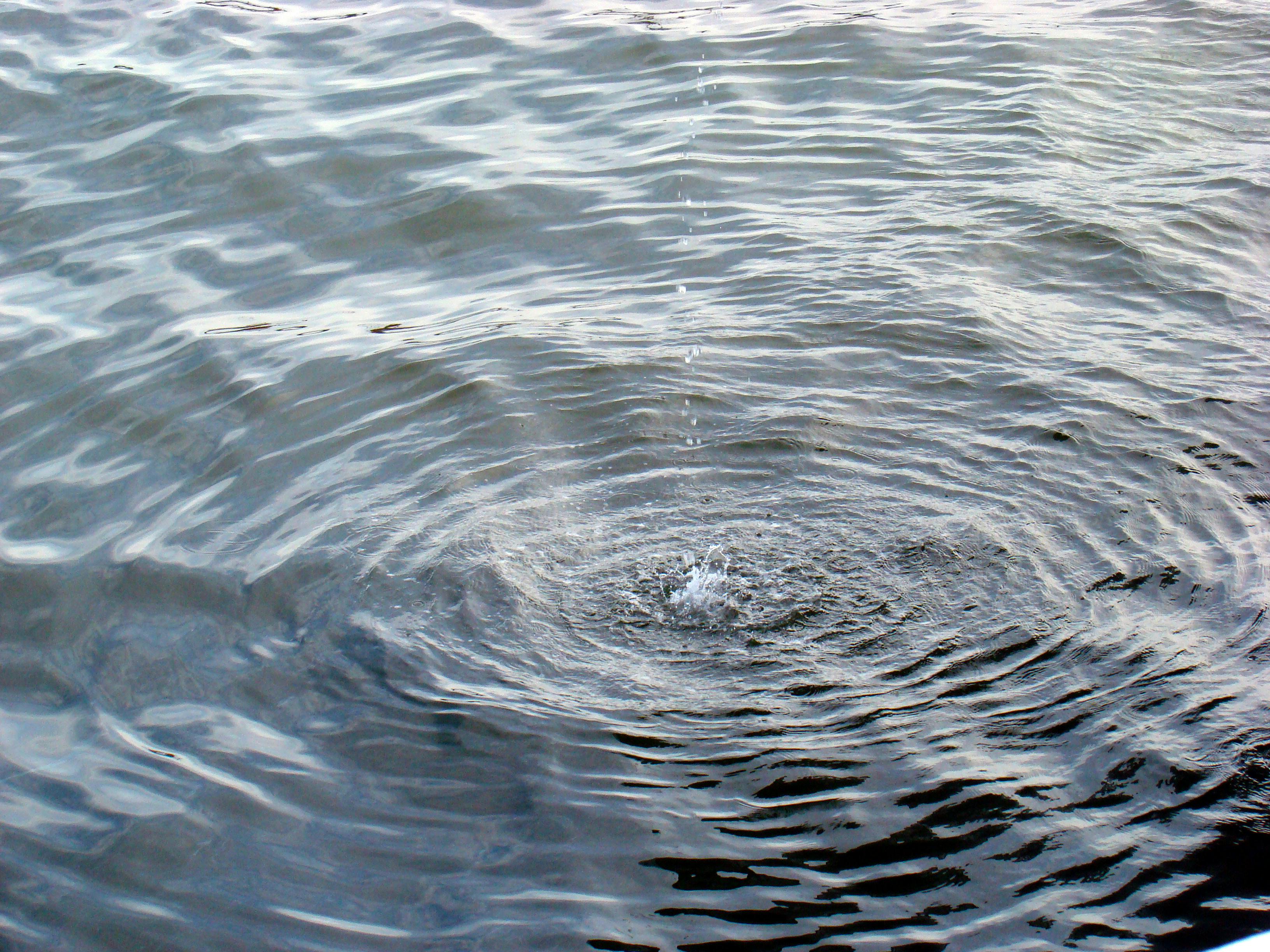 Circular Ripples in River · Free Stock Photo