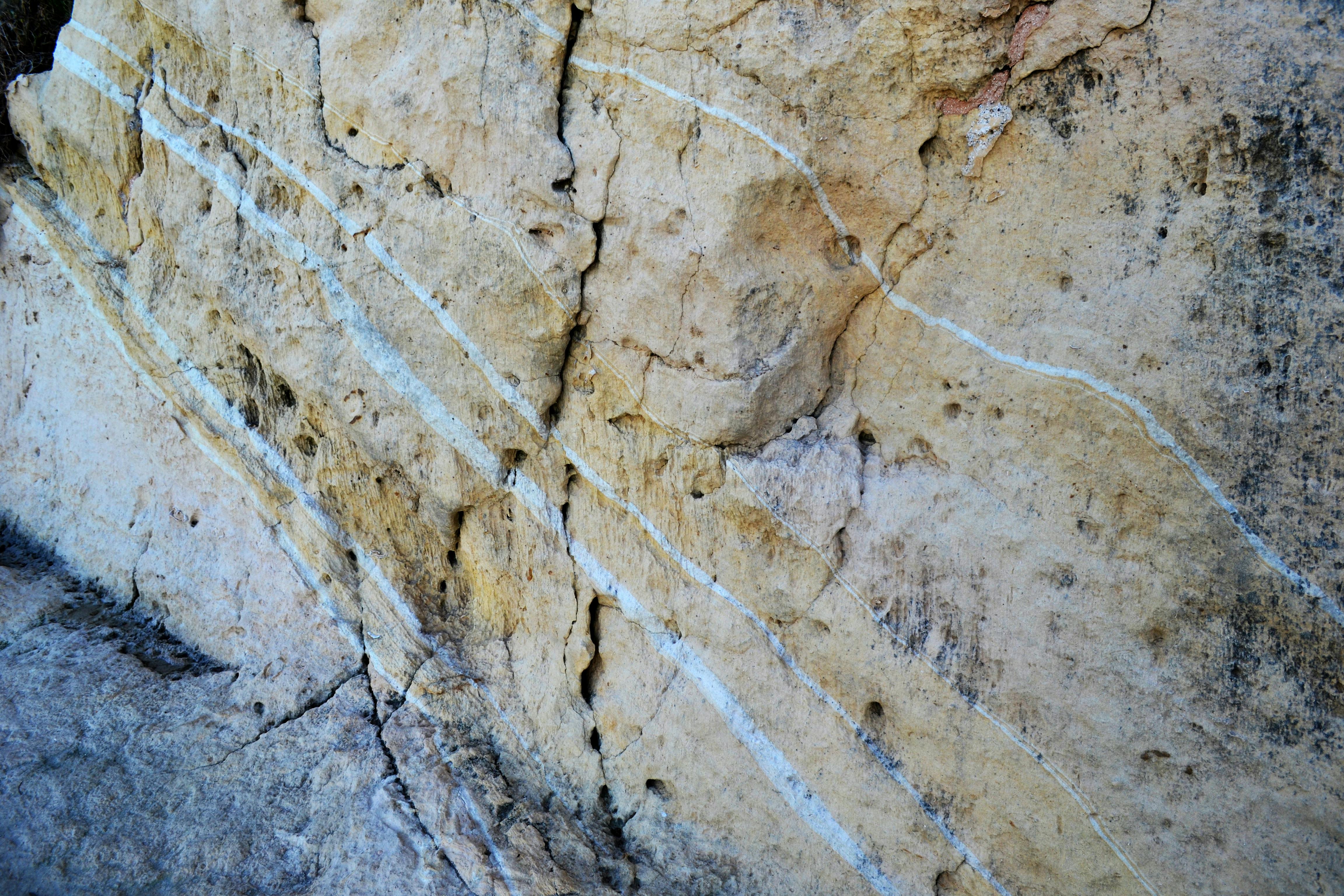 Cracks Texture Photos, Download The BEST Free Cracks Texture Stock ...