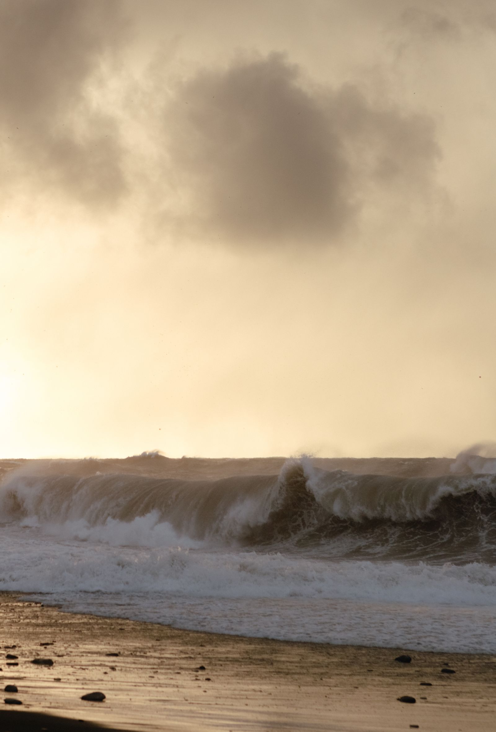 Wuthering Waves Photos, Download The BEST Free Wuthering Waves Stock ...