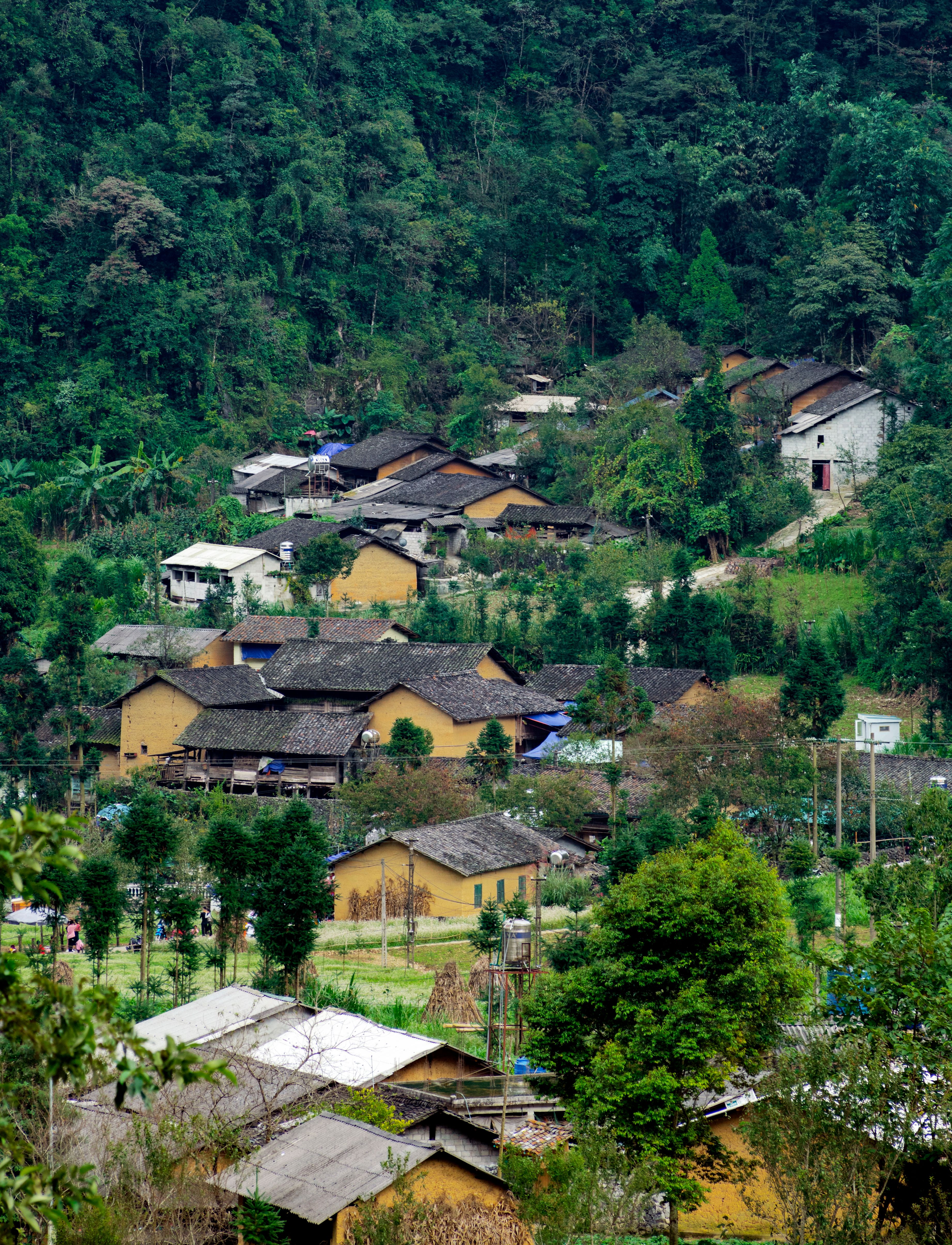 Town and Trees · Free Stock Photo