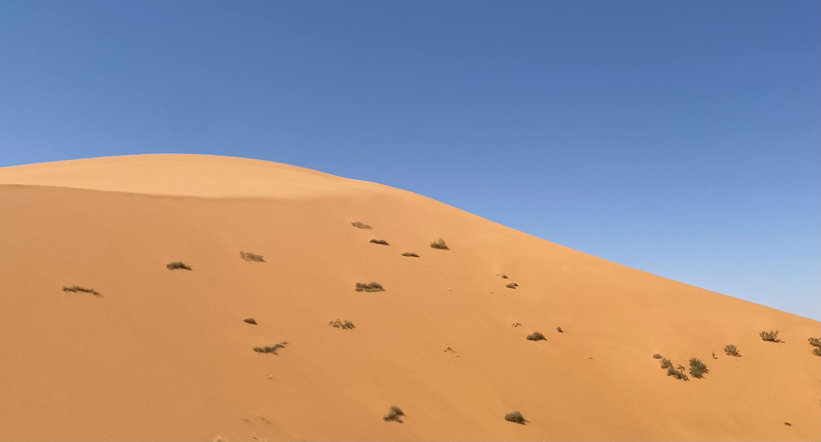 Sand Hill on Desert · Free Stock Photo