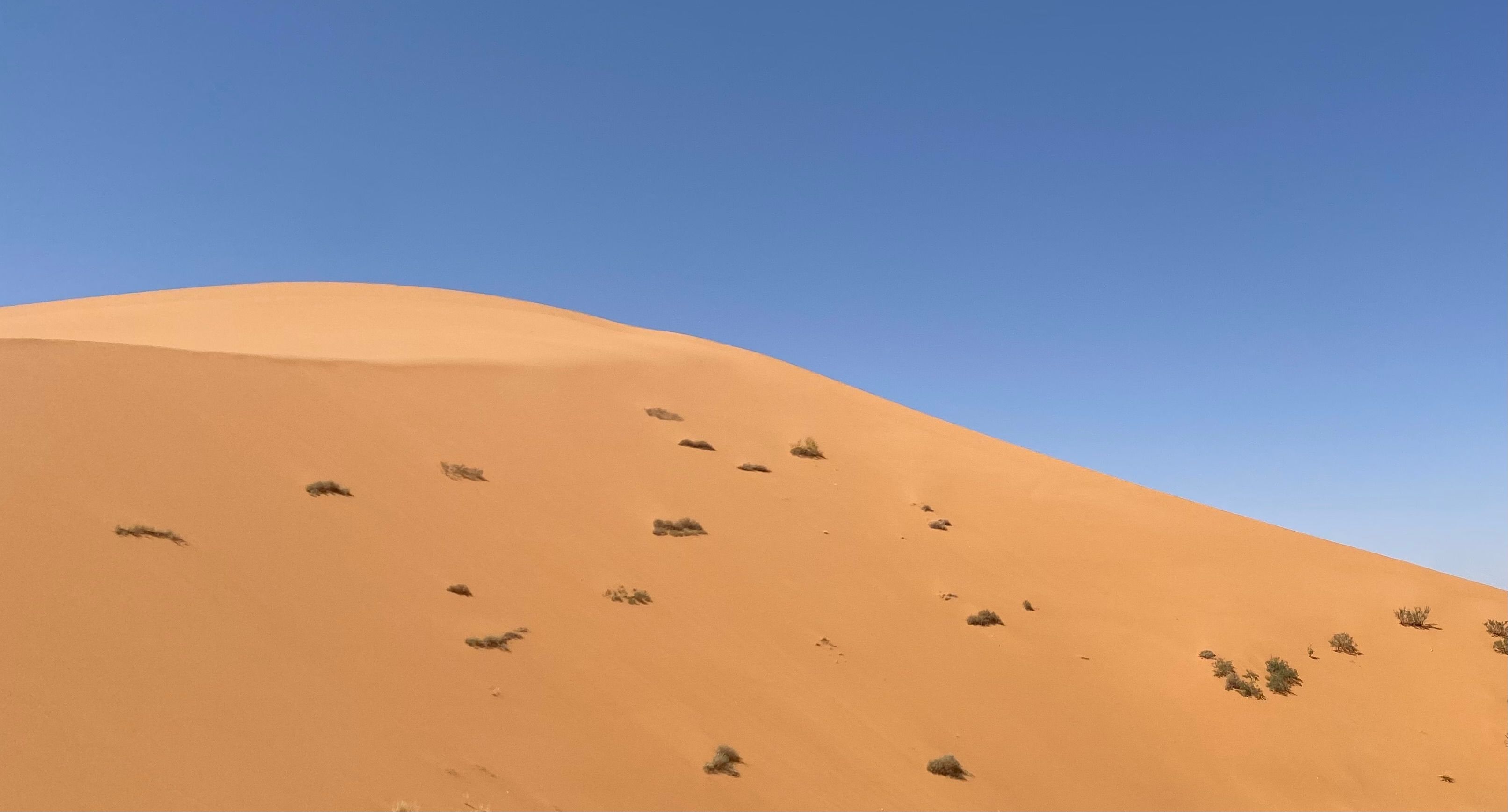 Sand Hill on Desert · Free Stock Photo