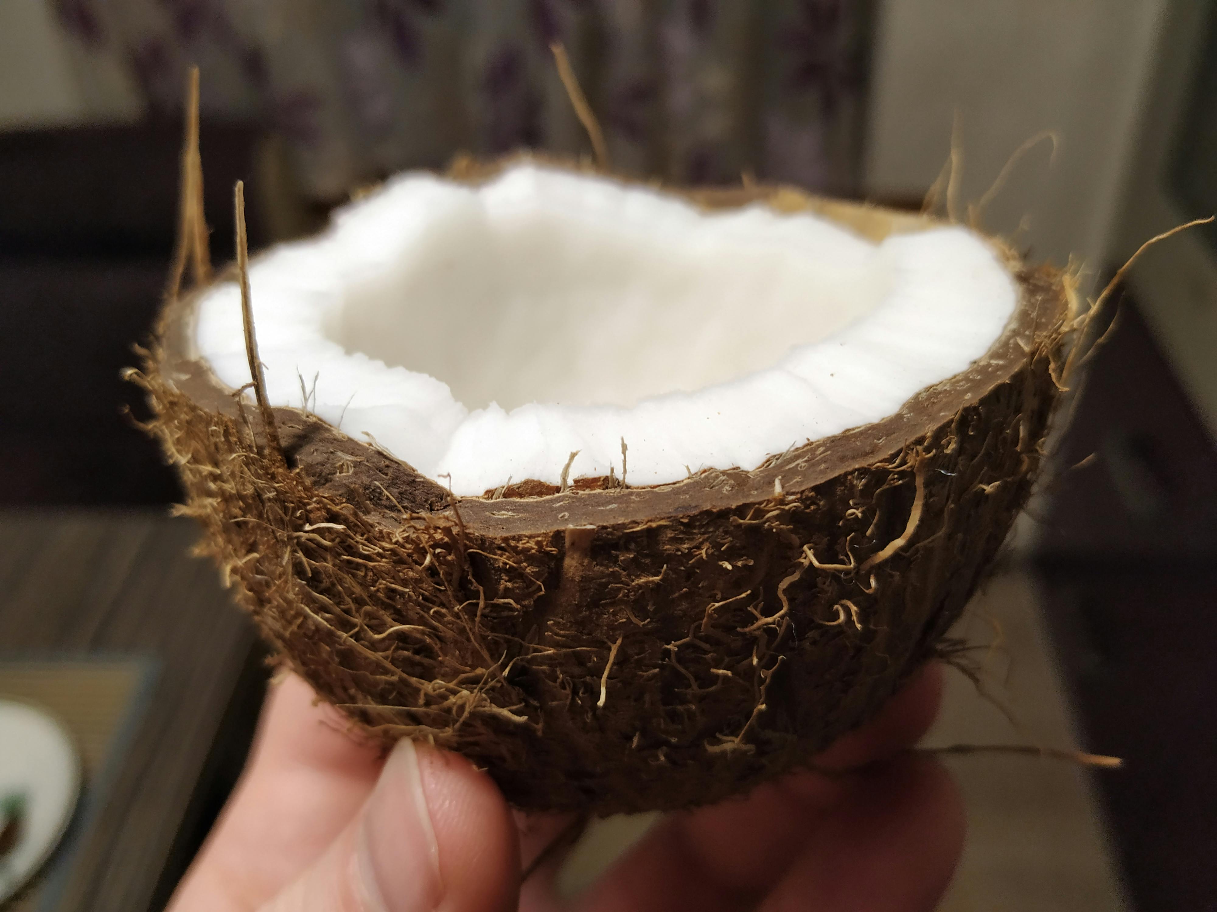 Foto de stock gratuita sobre aceite de coco, blanco, coco