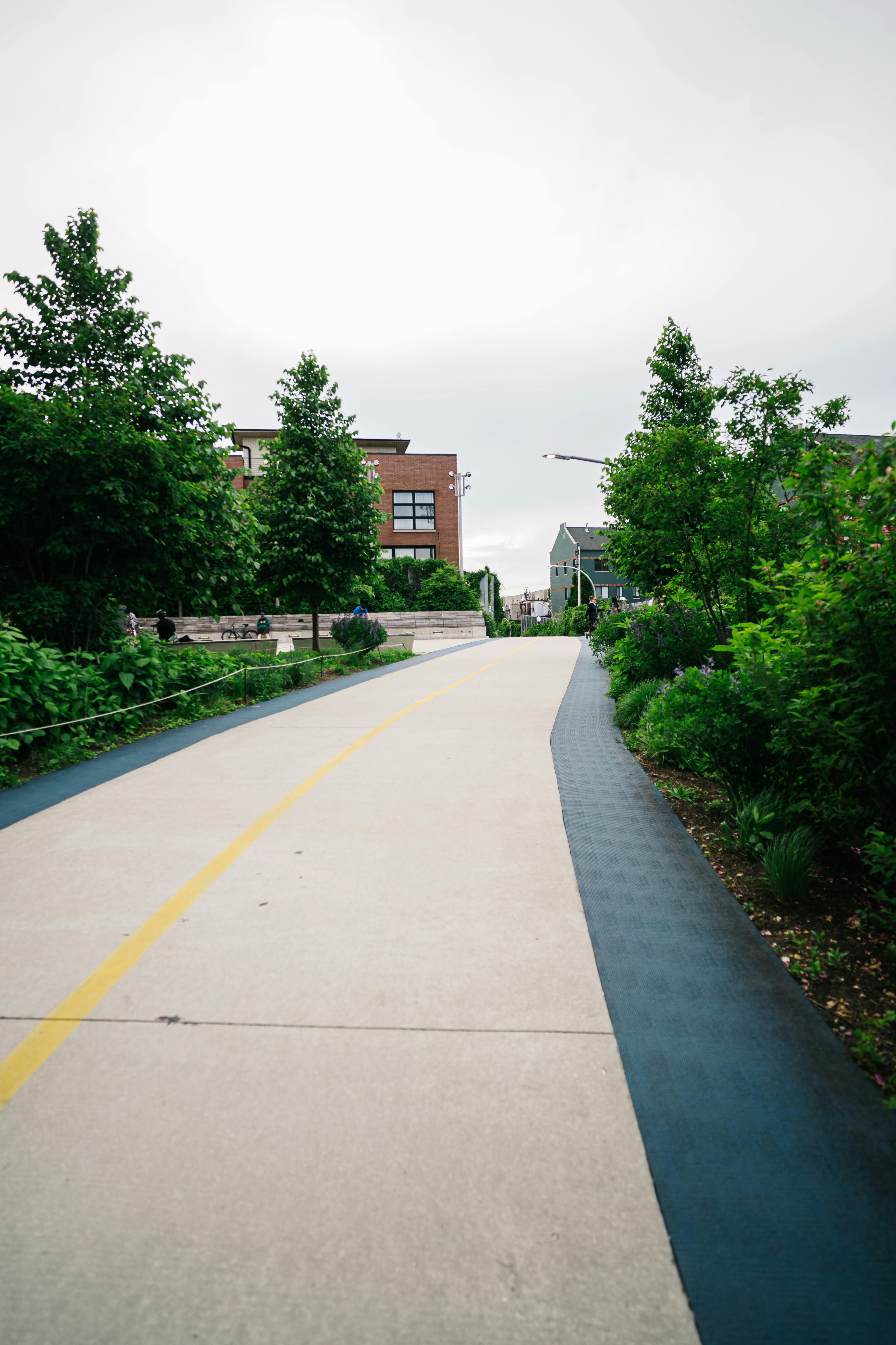 Green Trees on Gray Concrete Pathway · Free Stock Photo