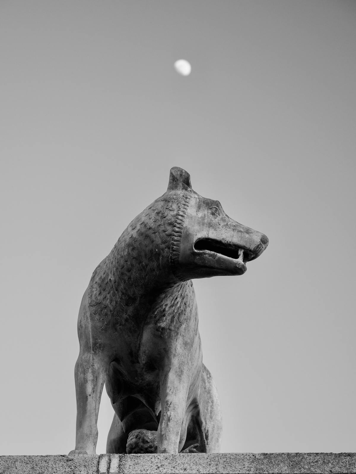 Wolf Statue Photos, Download The BEST Free Wolf Statue Stock Photos ...