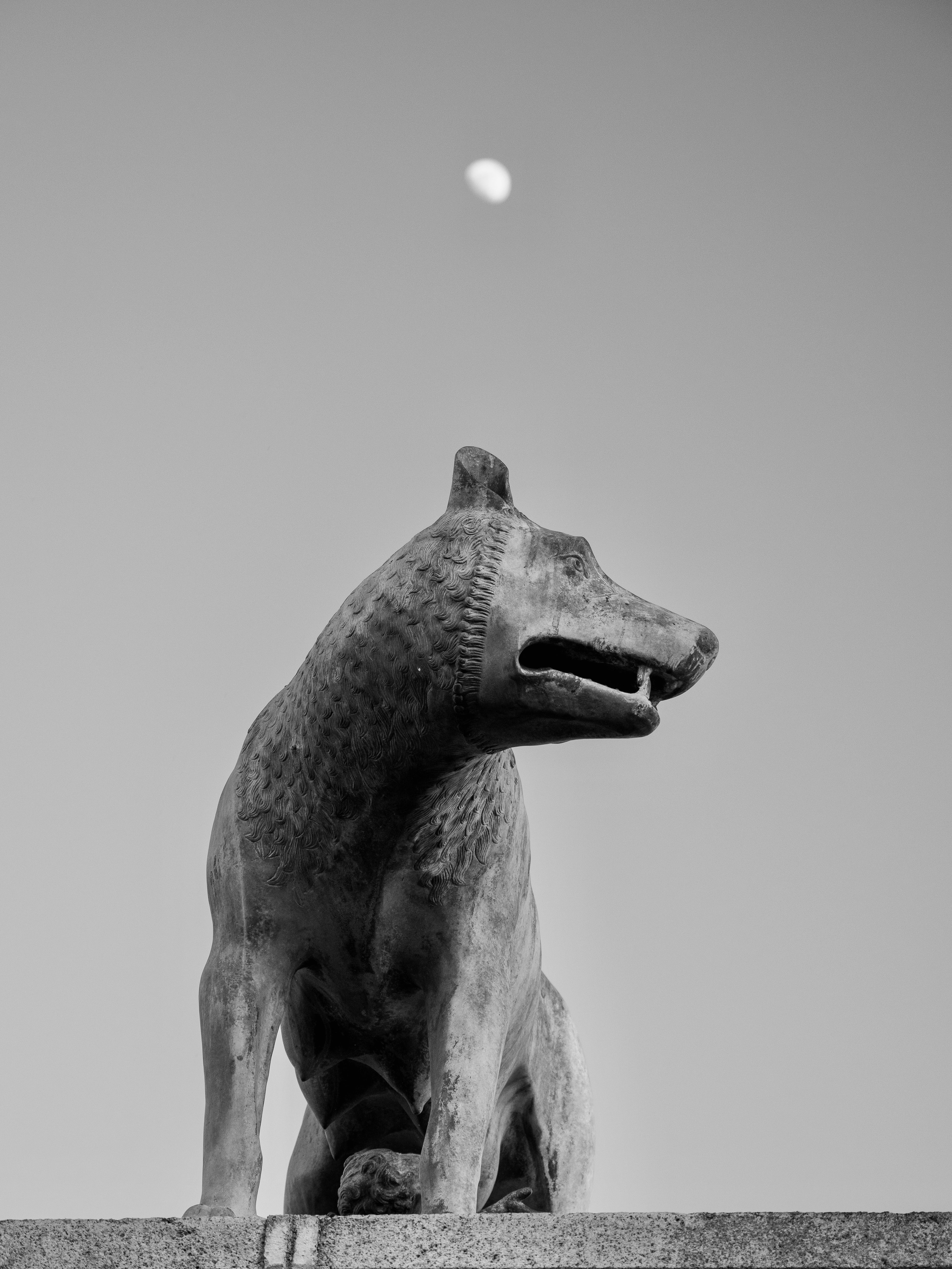 Foto de stock gratuita sobre arte, fotos en blanco y negro, cielo ...