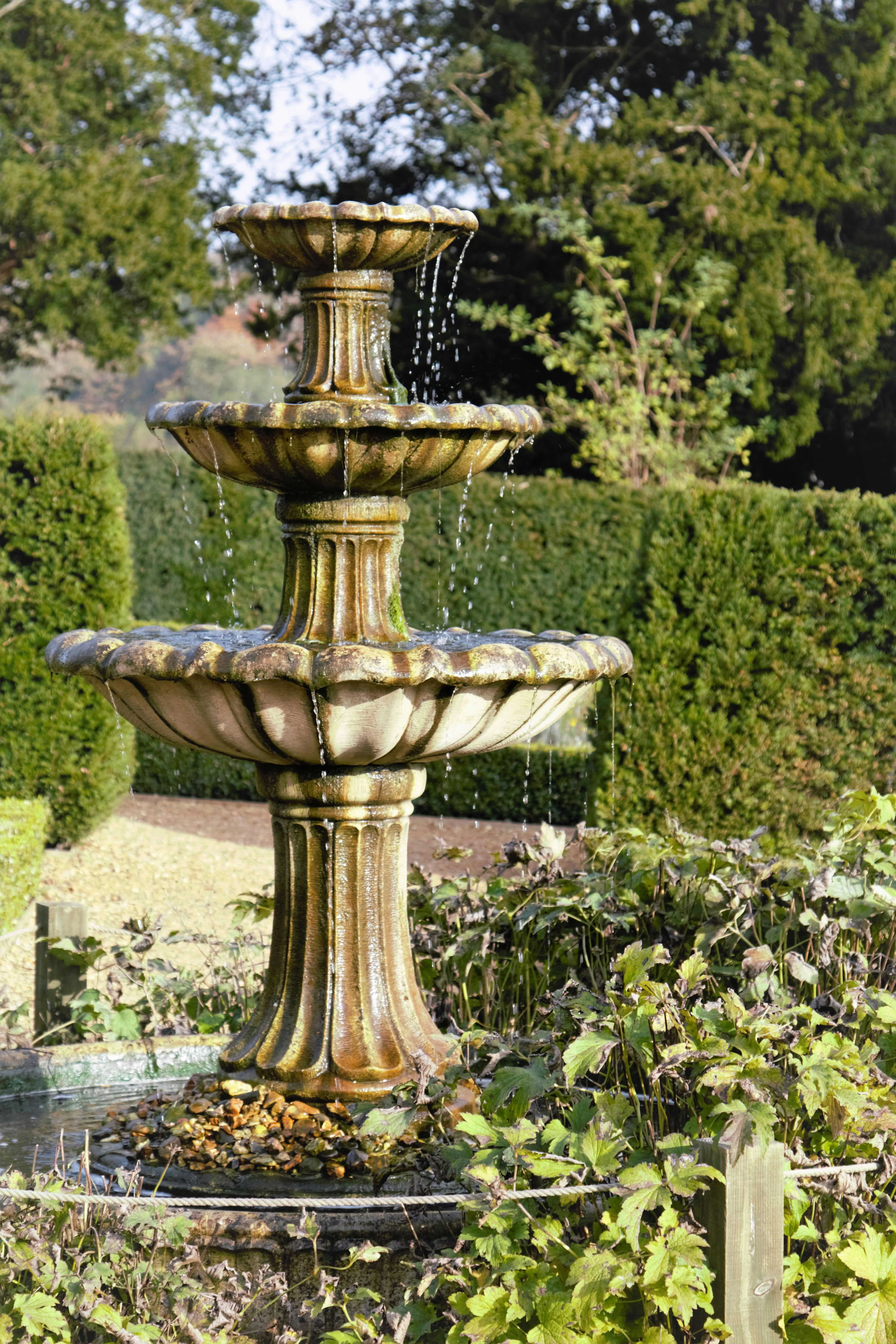 Car on Tree · Free Stock Photo