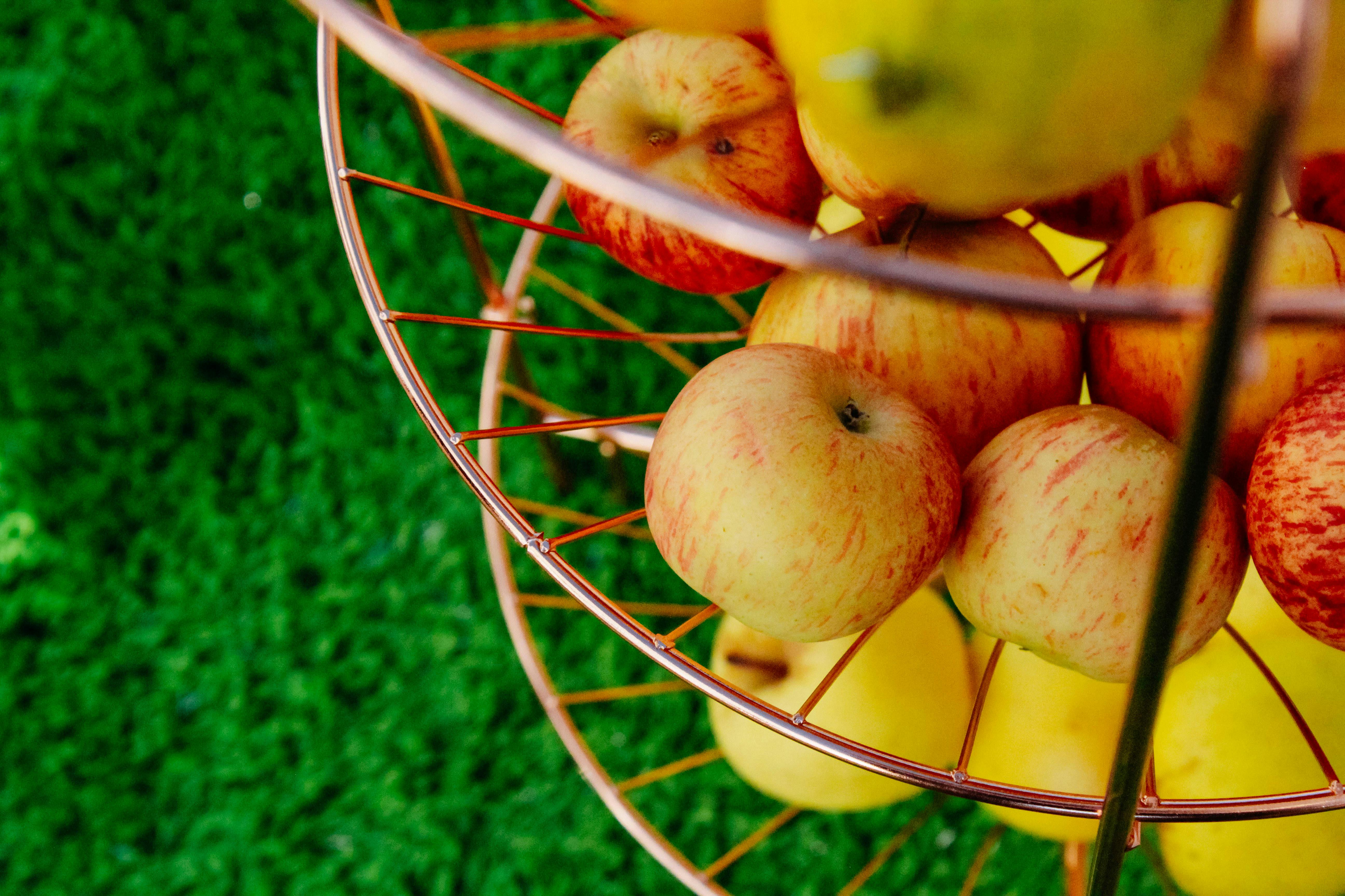 Free stock photo from Phenyo · Pexels