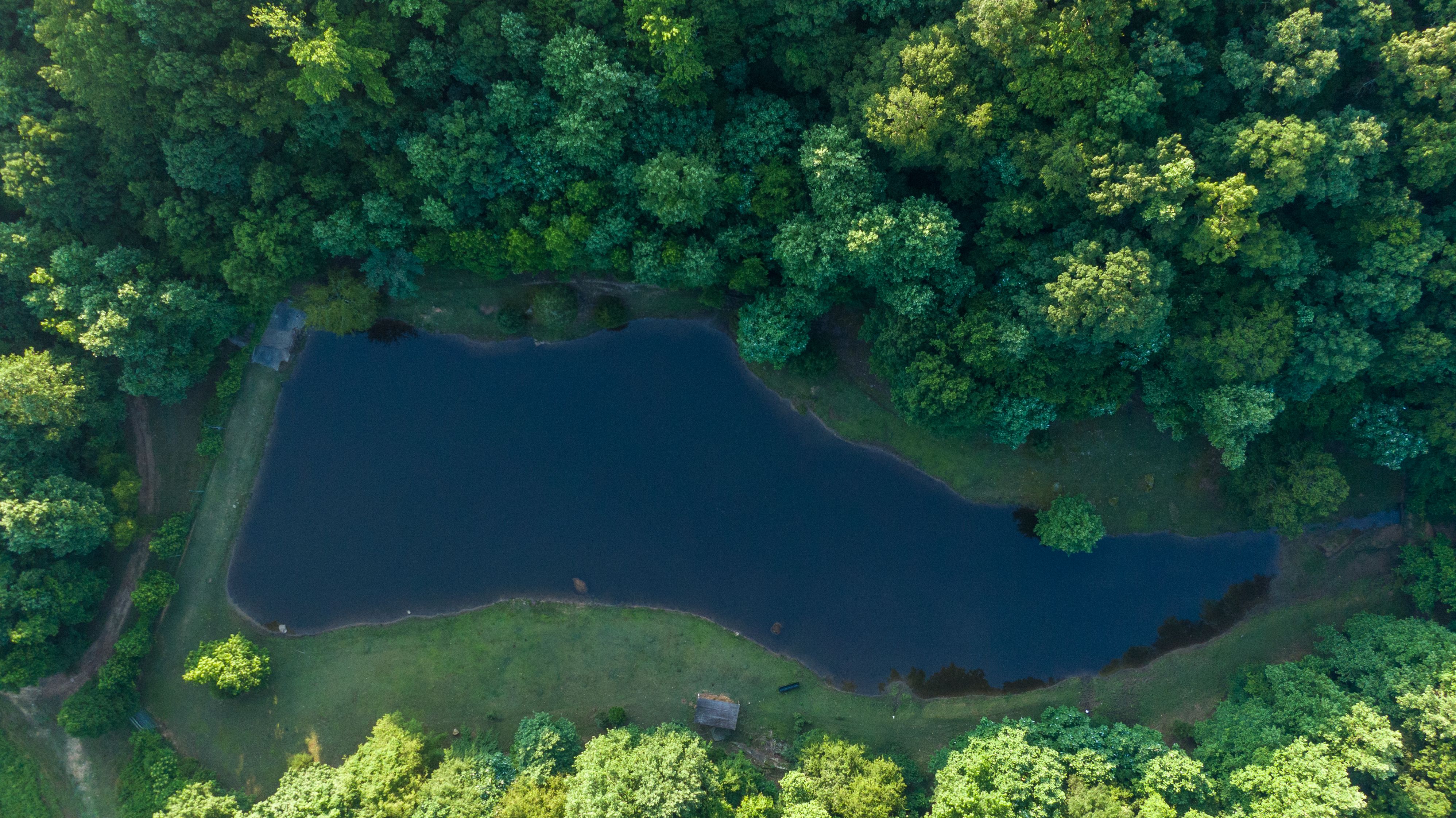 Forest Lake Photos, Download The BEST Free Forest Lake Stock Photos ...