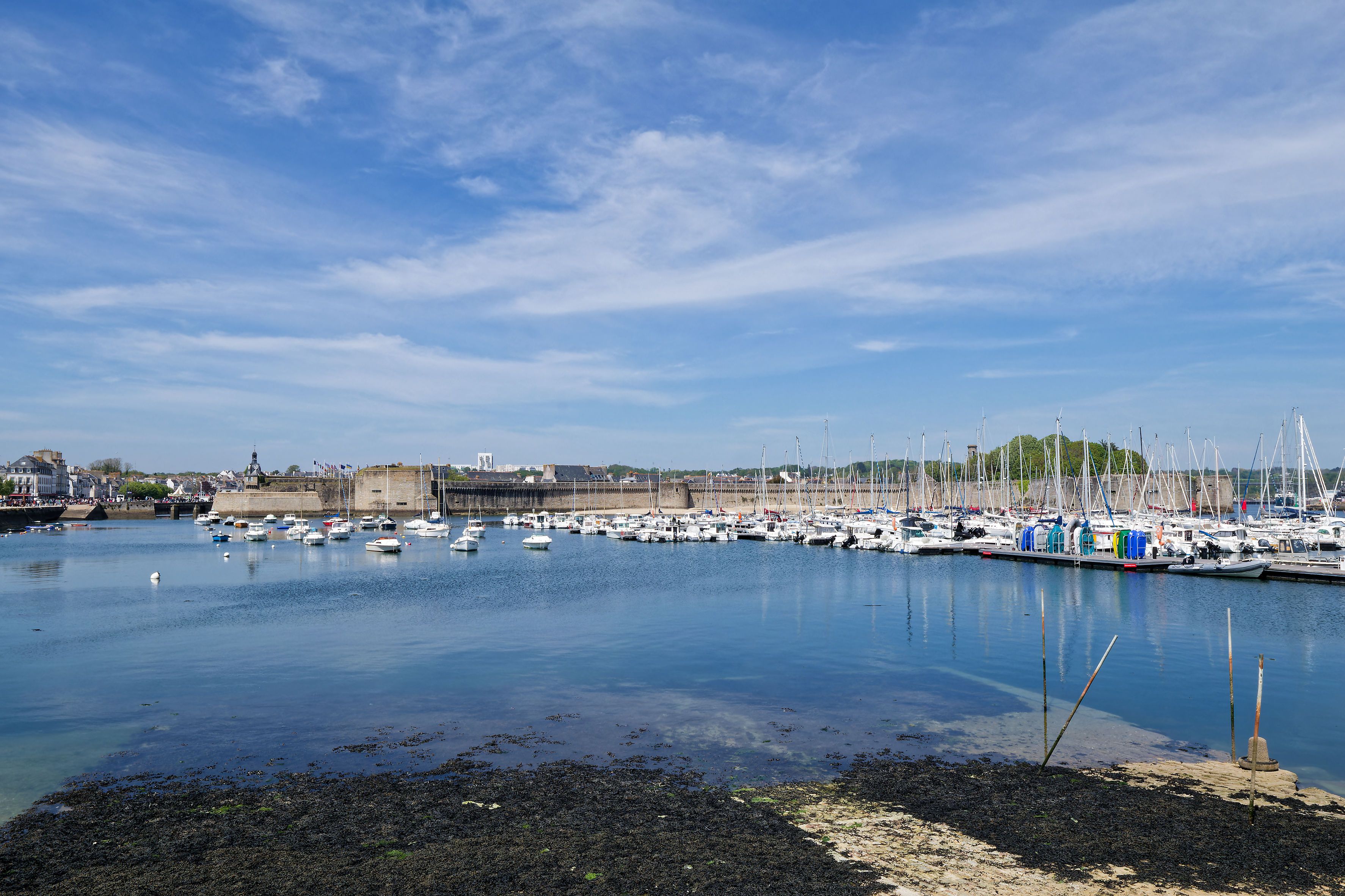 Sailboats in Harbor · Free Stock Photo