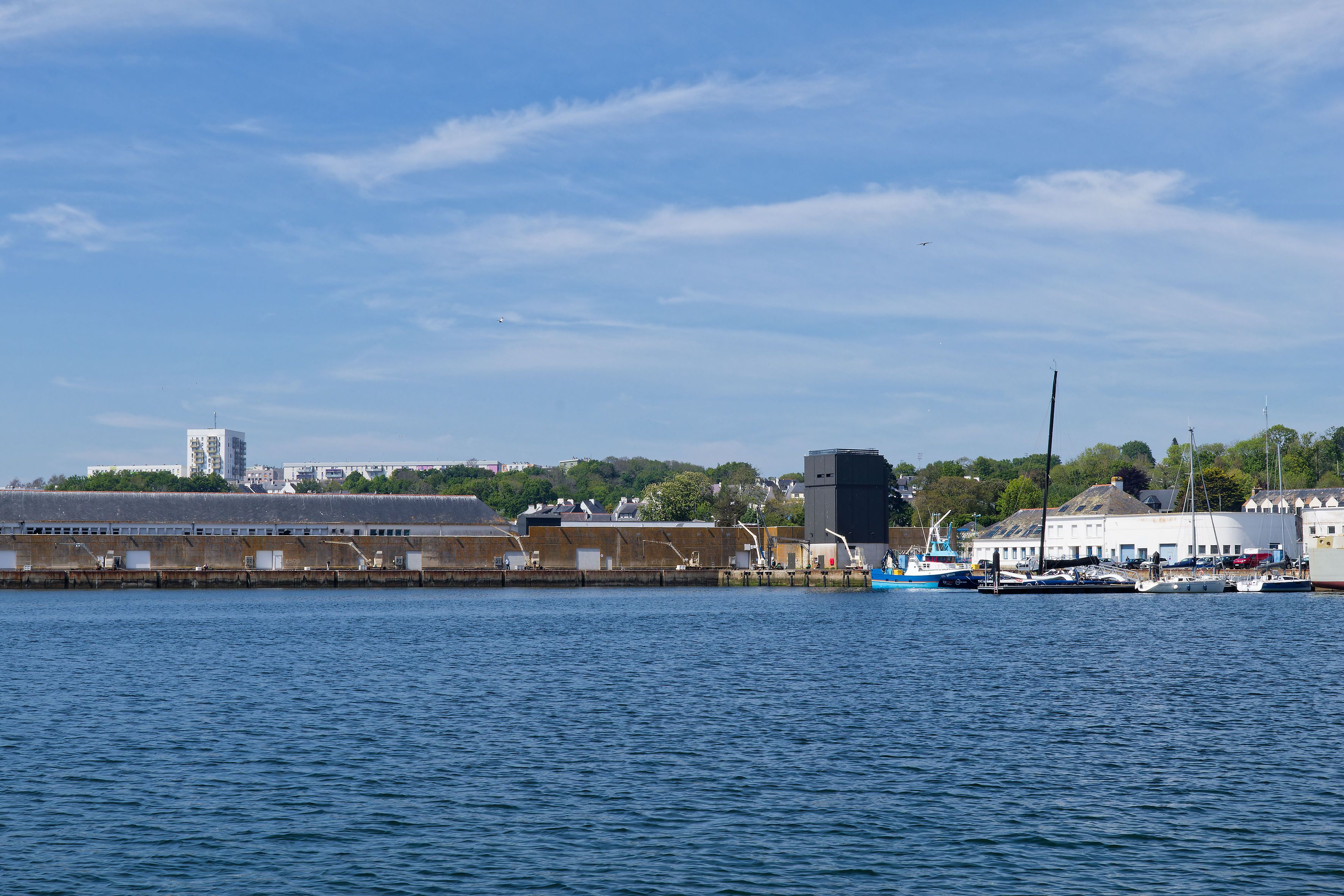 Buildings in Harbor · Free Stock Photo