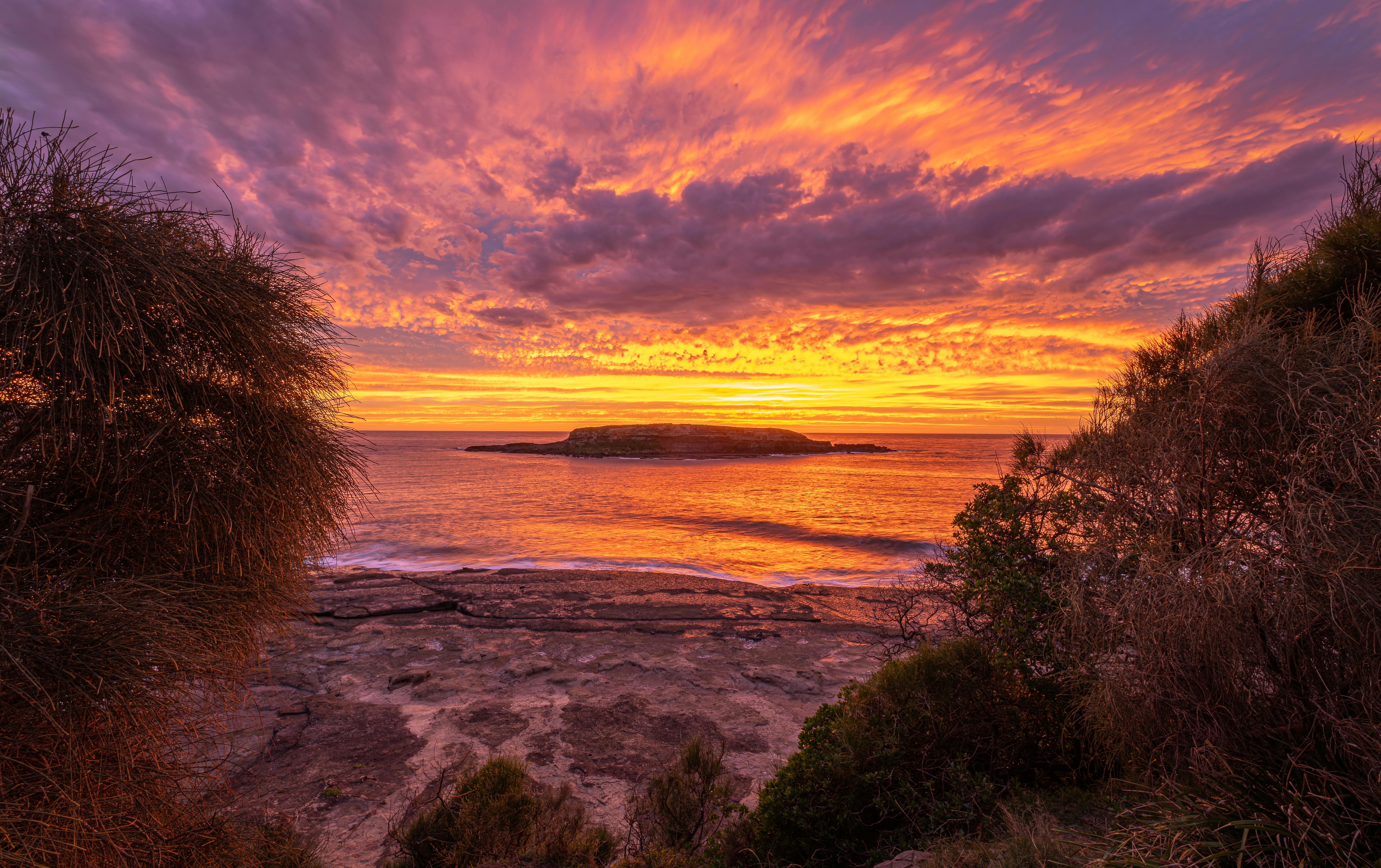 Warren Griffiths - 摄影