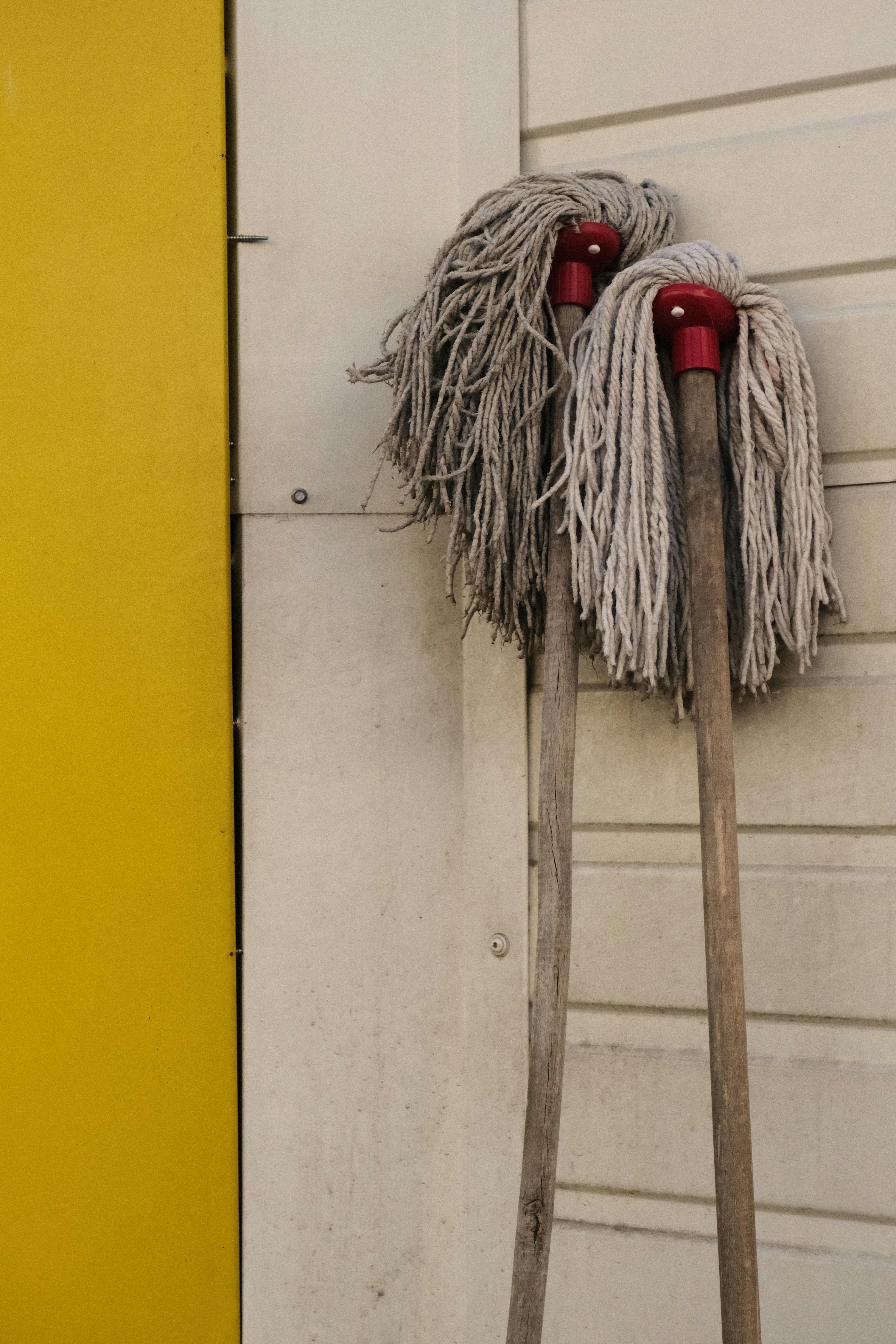 Two Mops Leaning on a Wall · Free Stock Photo