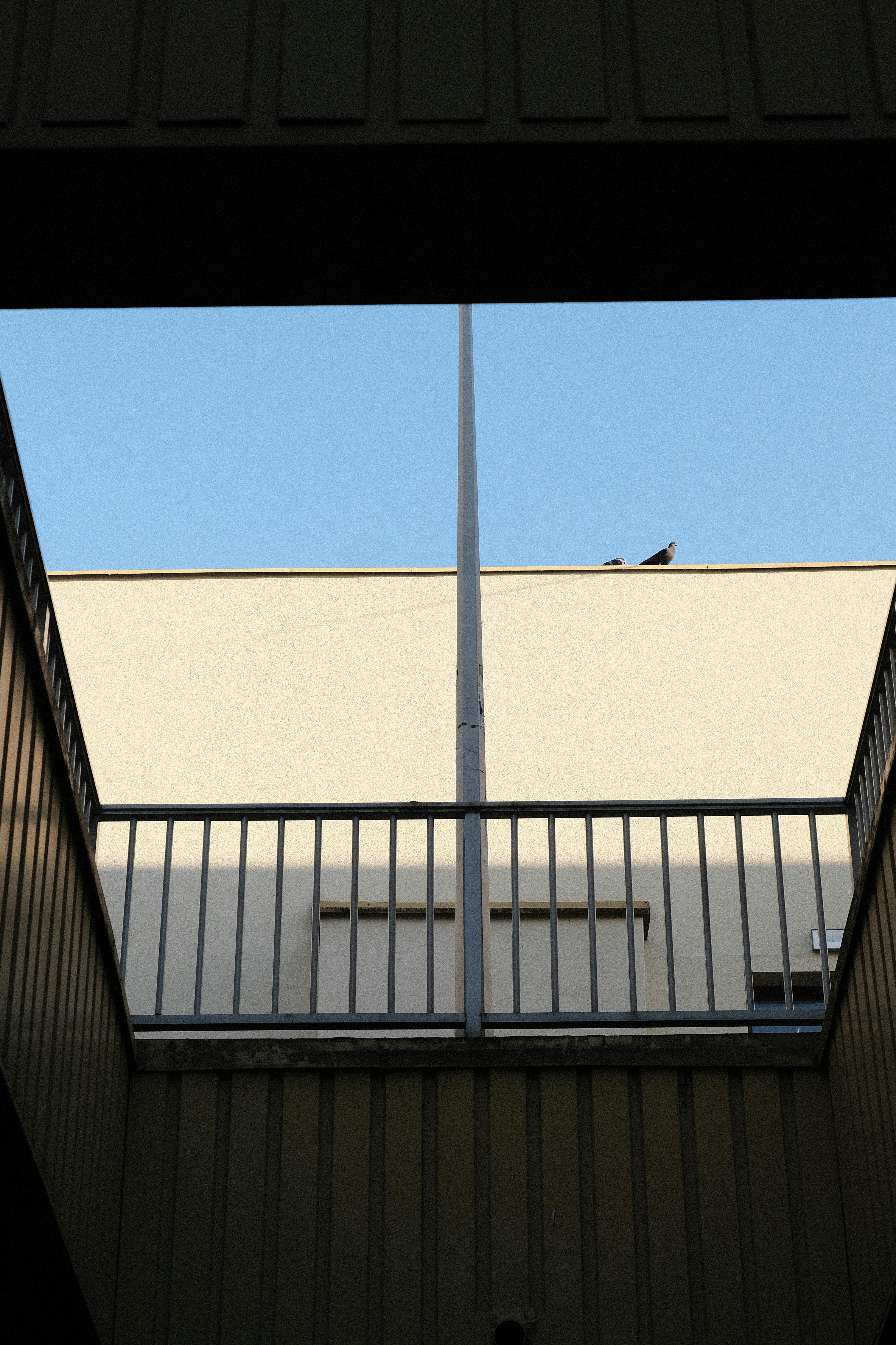 Railing in Front of a Street Light · Free Stock Photo