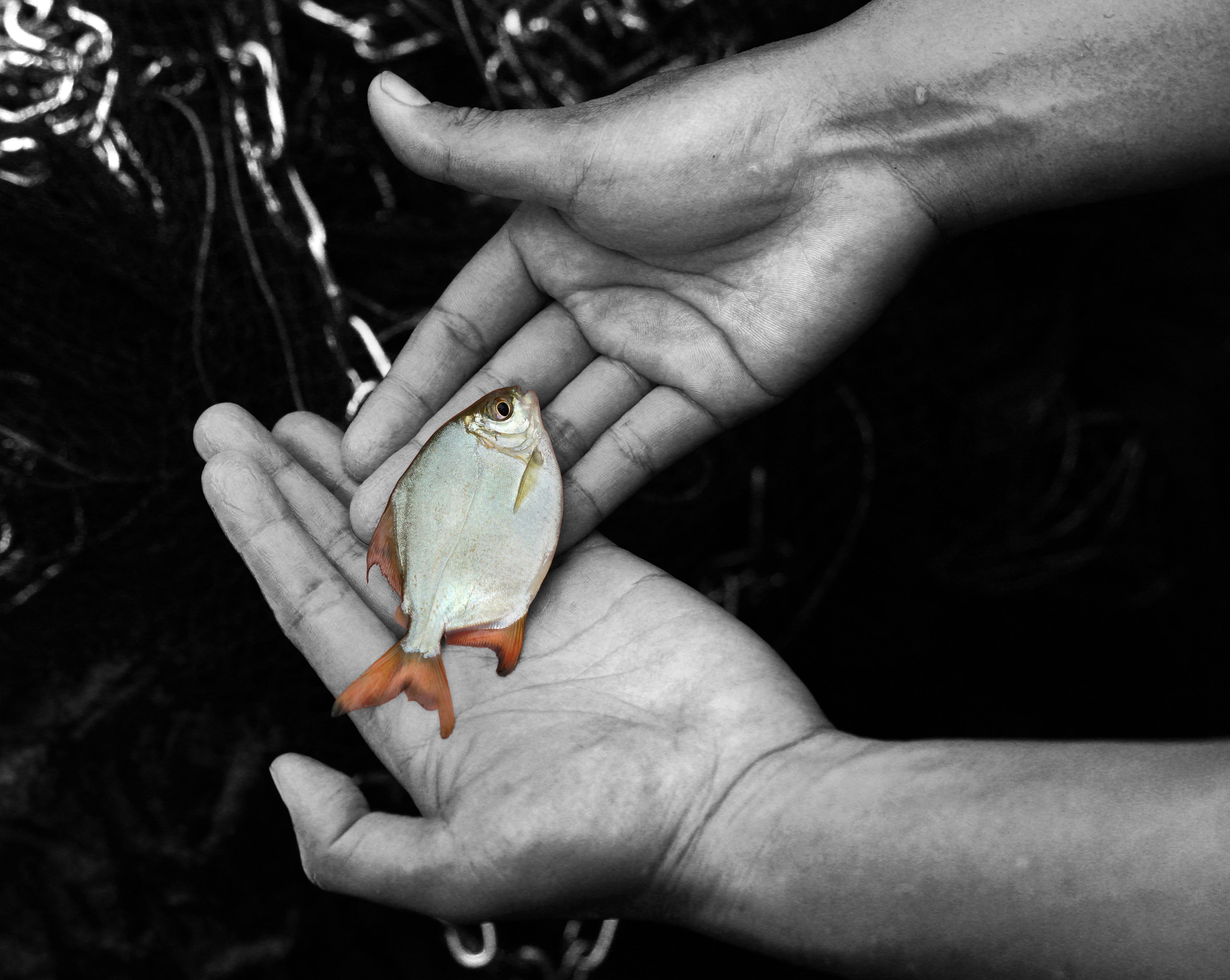 Christopher Borges - Photography