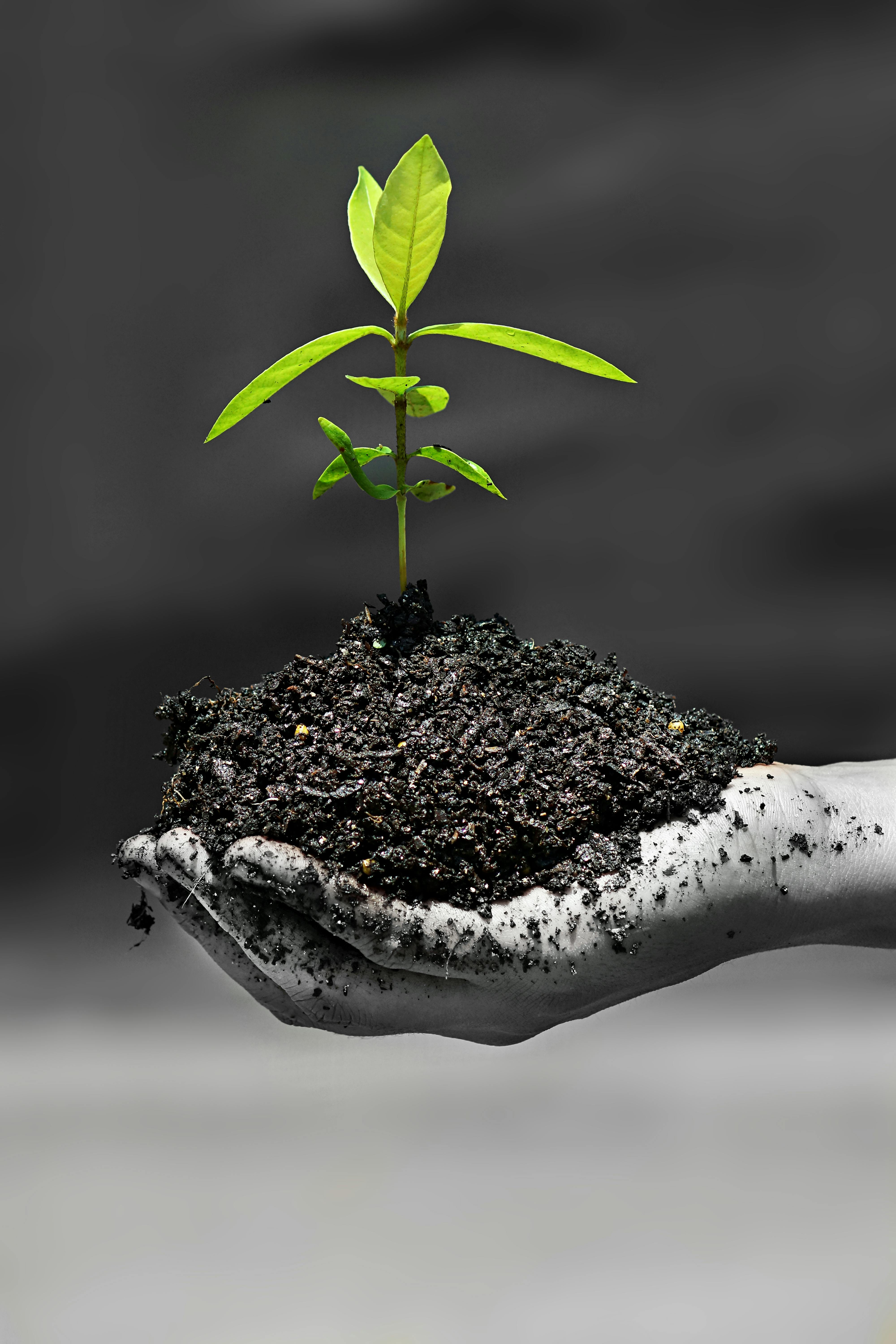 Christopher Borges - Photography